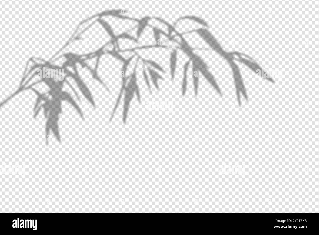Shadow overlay from a bamboo branch isolated on a transparent ...