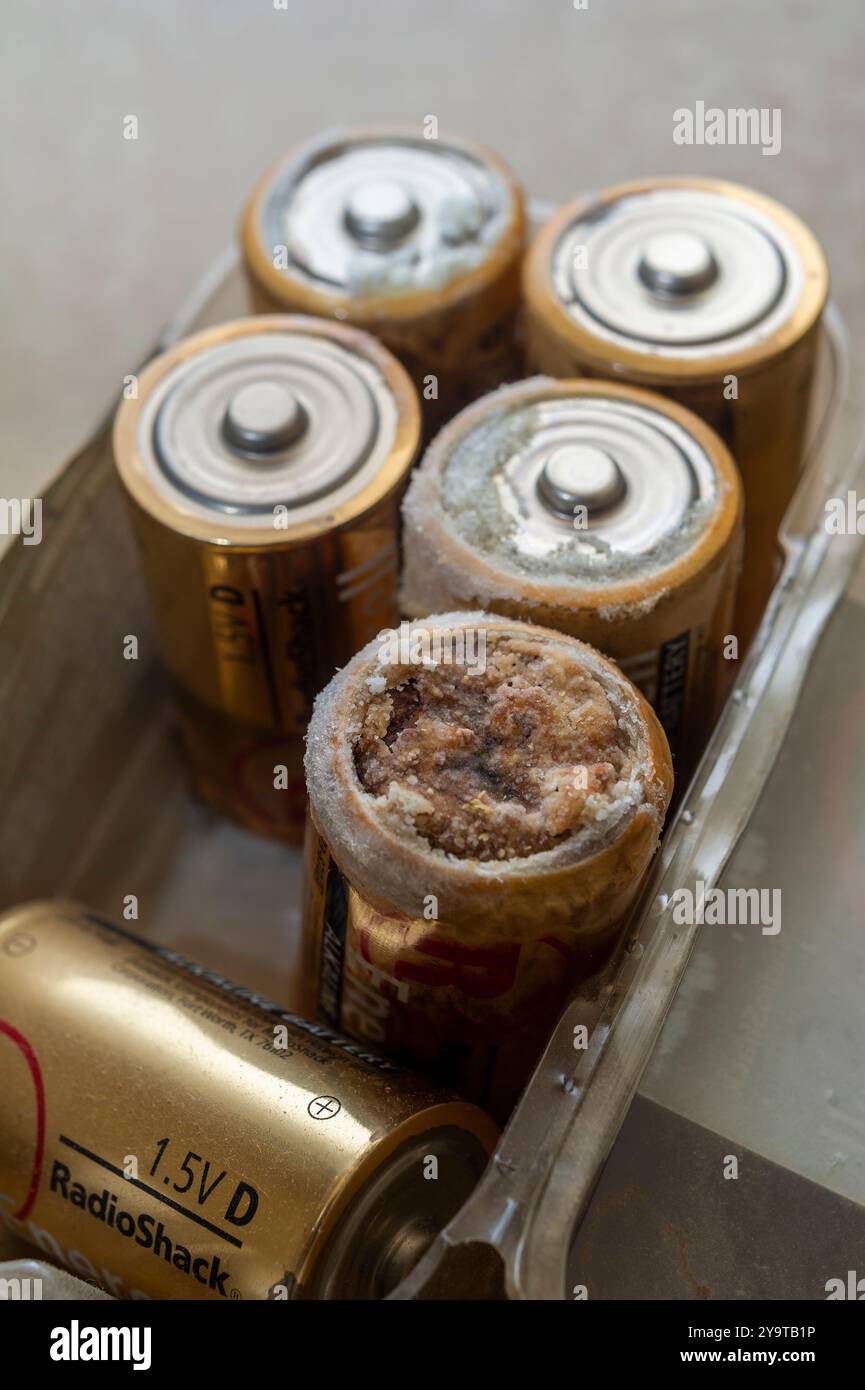 A selection of leaking D cell alkaline batteries in New York on Sunday ...