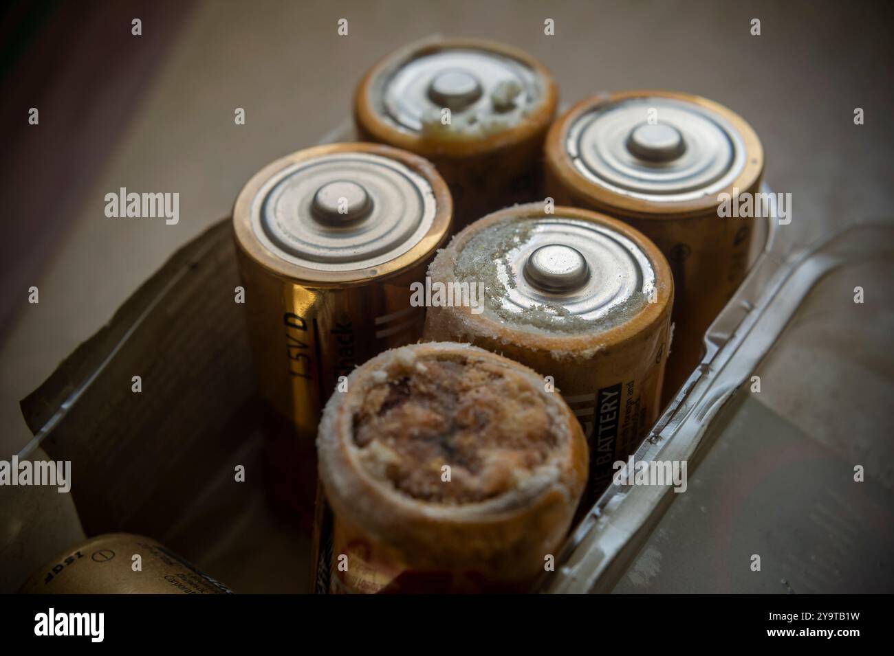 A selection of leaking D cell alkaline batteries in New York on Sunday ...