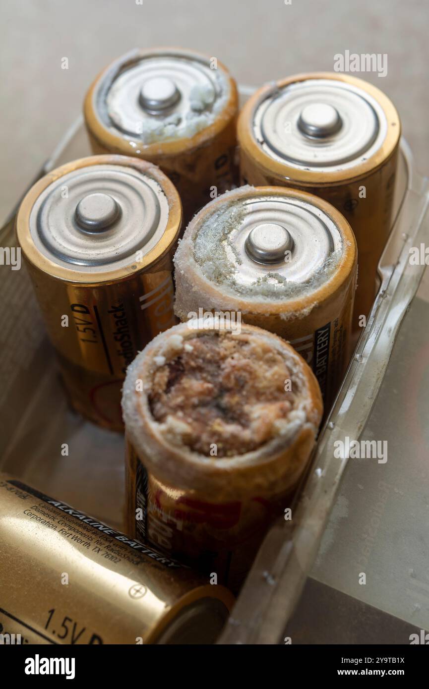 A selection of leaking D cell alkaline batteries in New York on Sunday ...