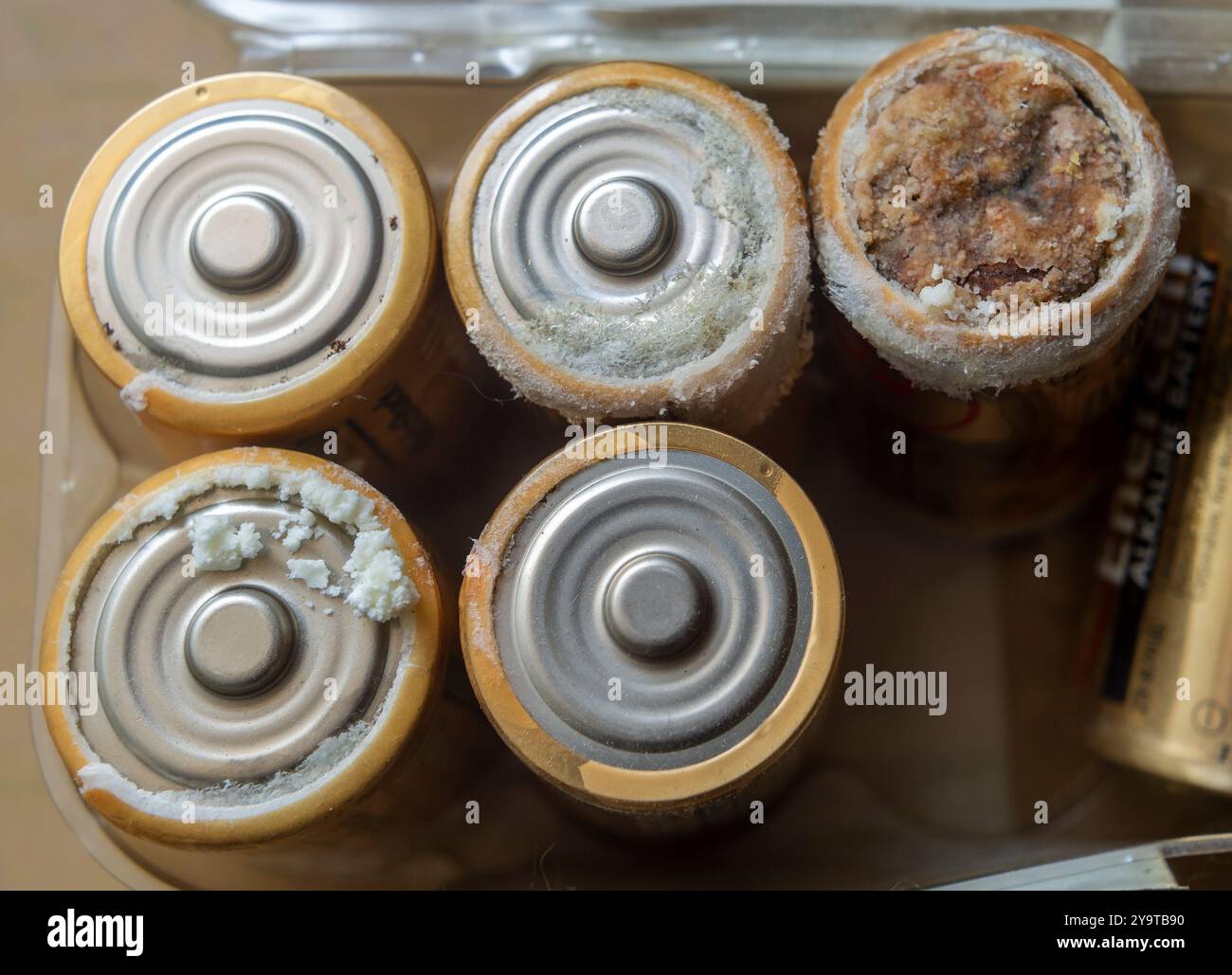 A selection of leaking D cell alkaline batteries in New York on Sunday ...