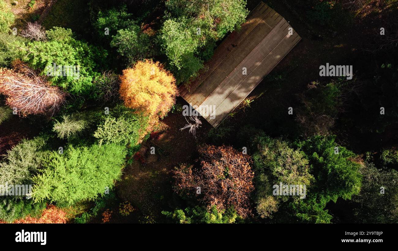 Wooden house surrounded trees hi-res stock photography and images - Alamy