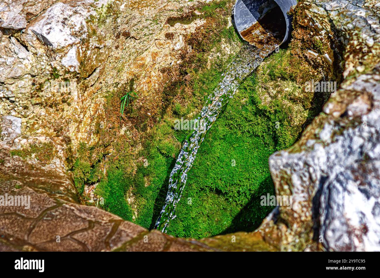 Crystal clear spring water flows from iron pipe among stones with green ...