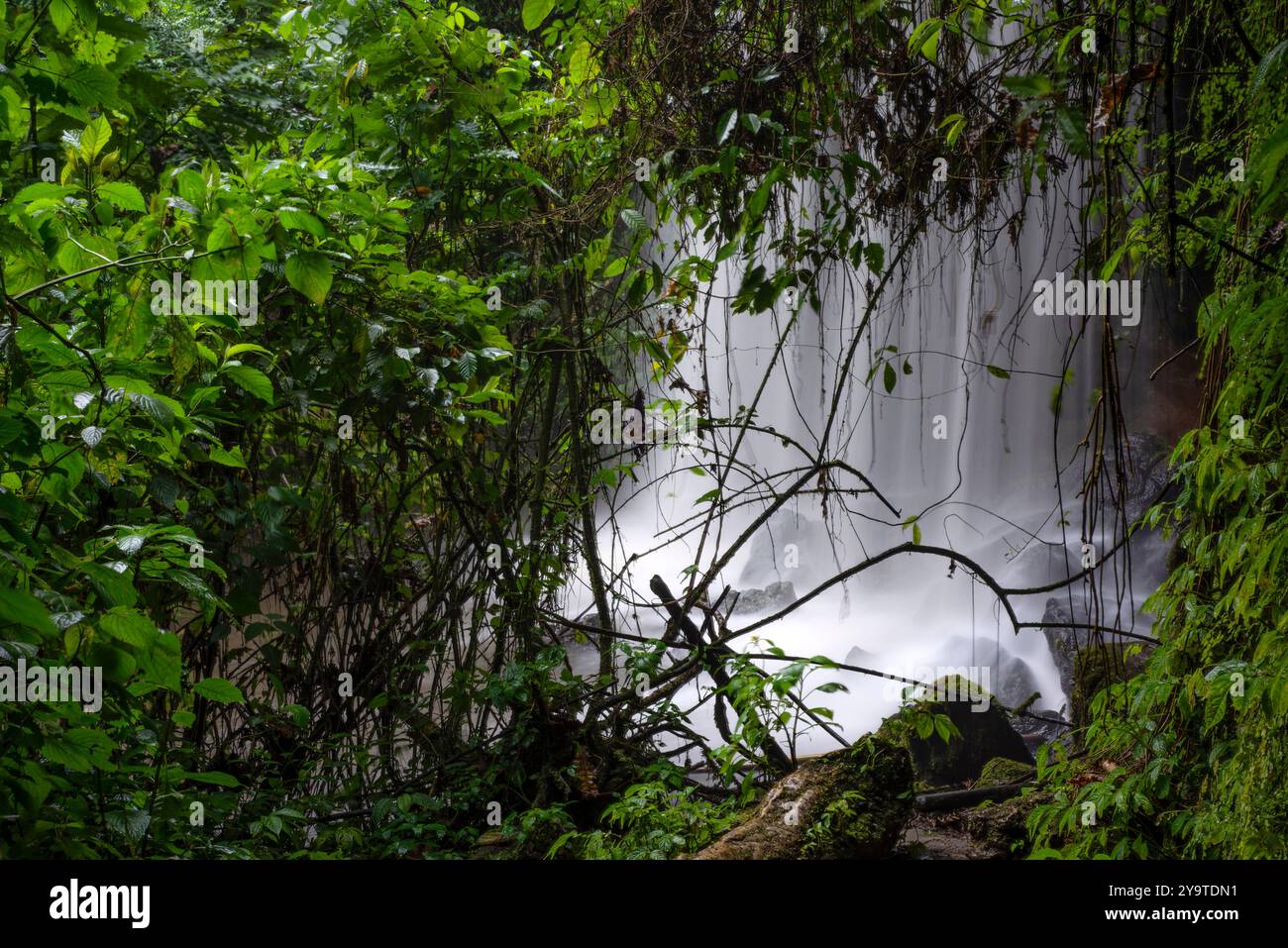 Nyakasura water falls - Fort Portal - Uganda Stock Photo - Alamy
