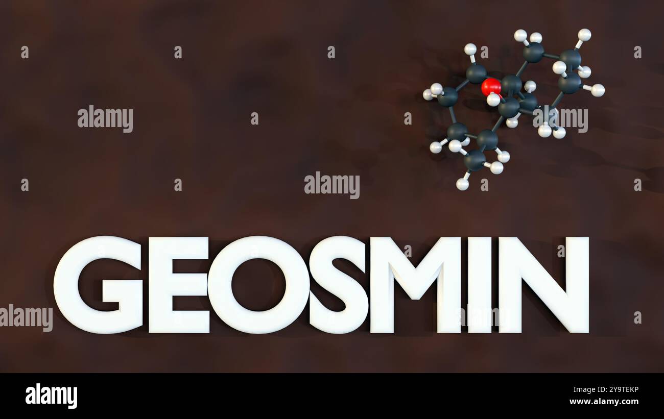 3d rendering of word "GEOSMIN" written in bold, 3D letters and chemical ...