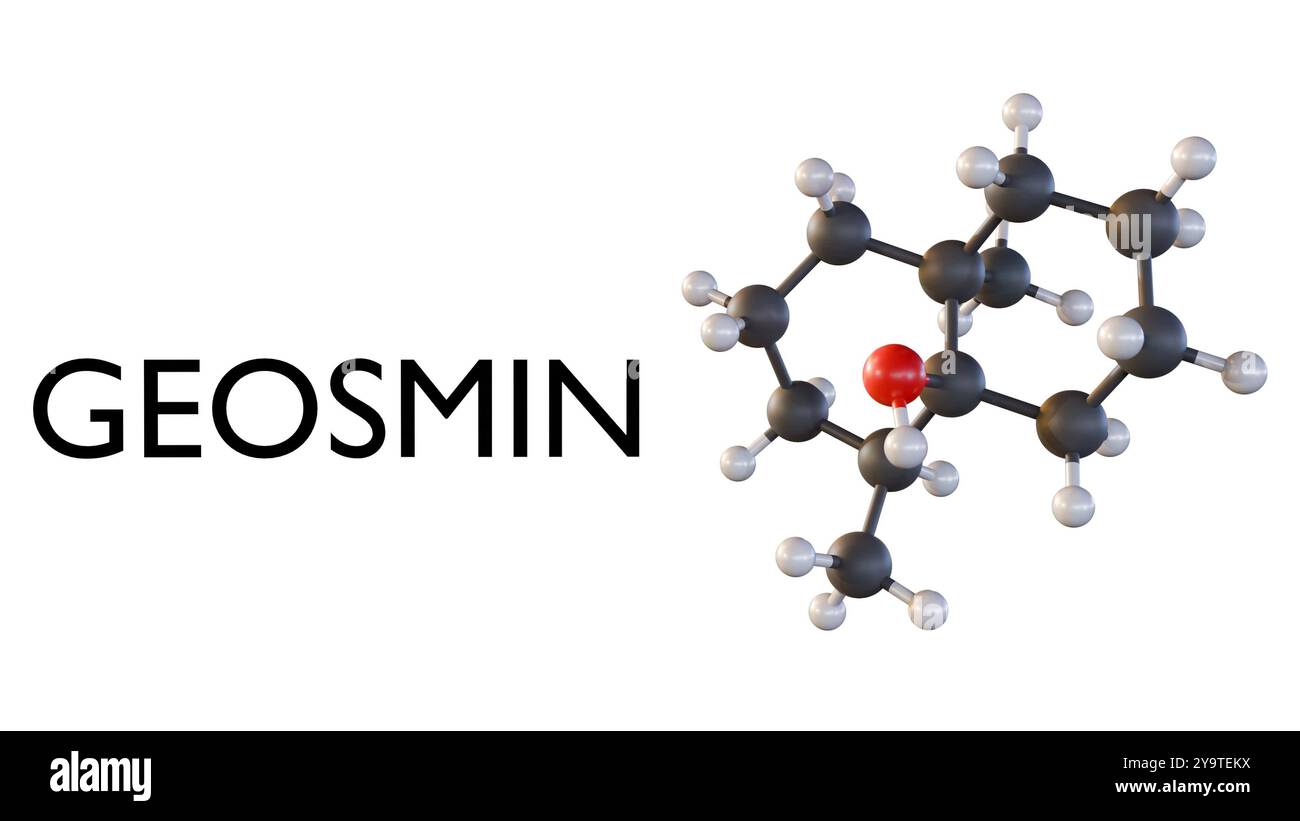 3d rendering of word "GEOSMIN" written in bold, 3D letters and chemical ...