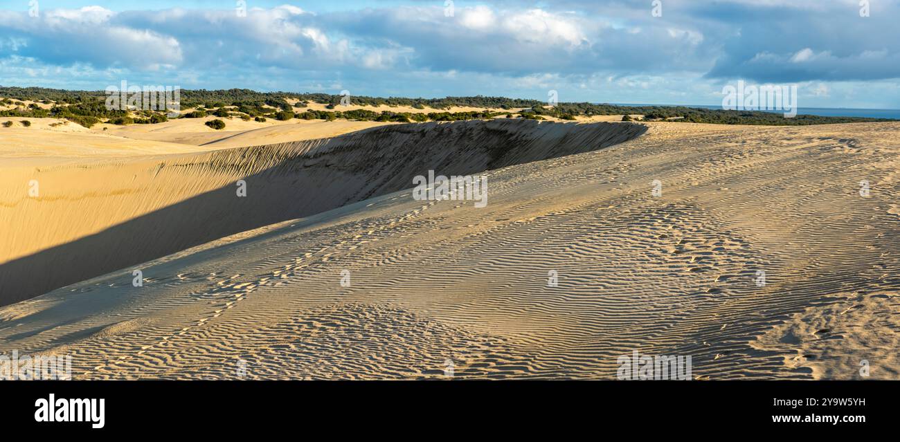 Big Drift sand dunes, Wilsons Promontory National Park, Victoria, Australia Stock Photo - Alamy