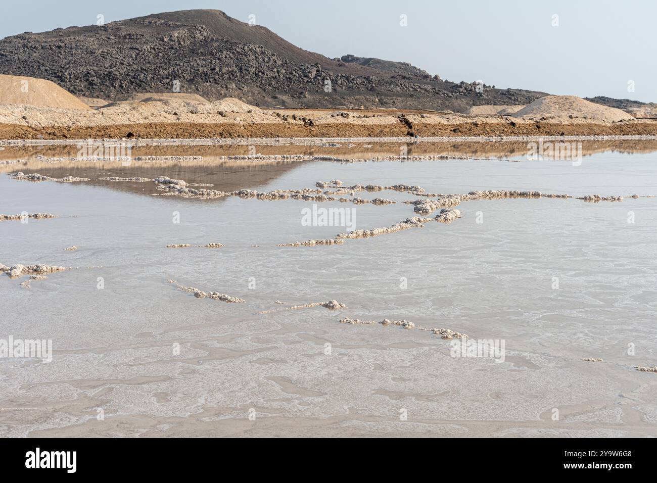 Salt deposit on water surface of Lake Afrera (Lake Afdera), Danakil ...