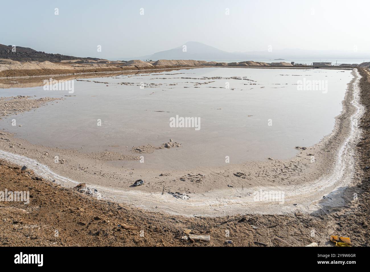 Salt deposit on water surface of Lake Afrera (Lake Afdera), Danakil ...