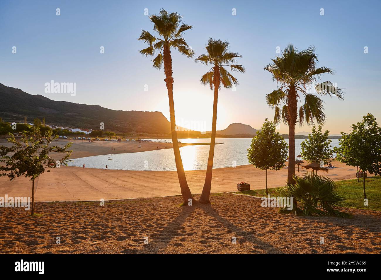Artificial trees pollution hi-res stock photography and images - Alamy
