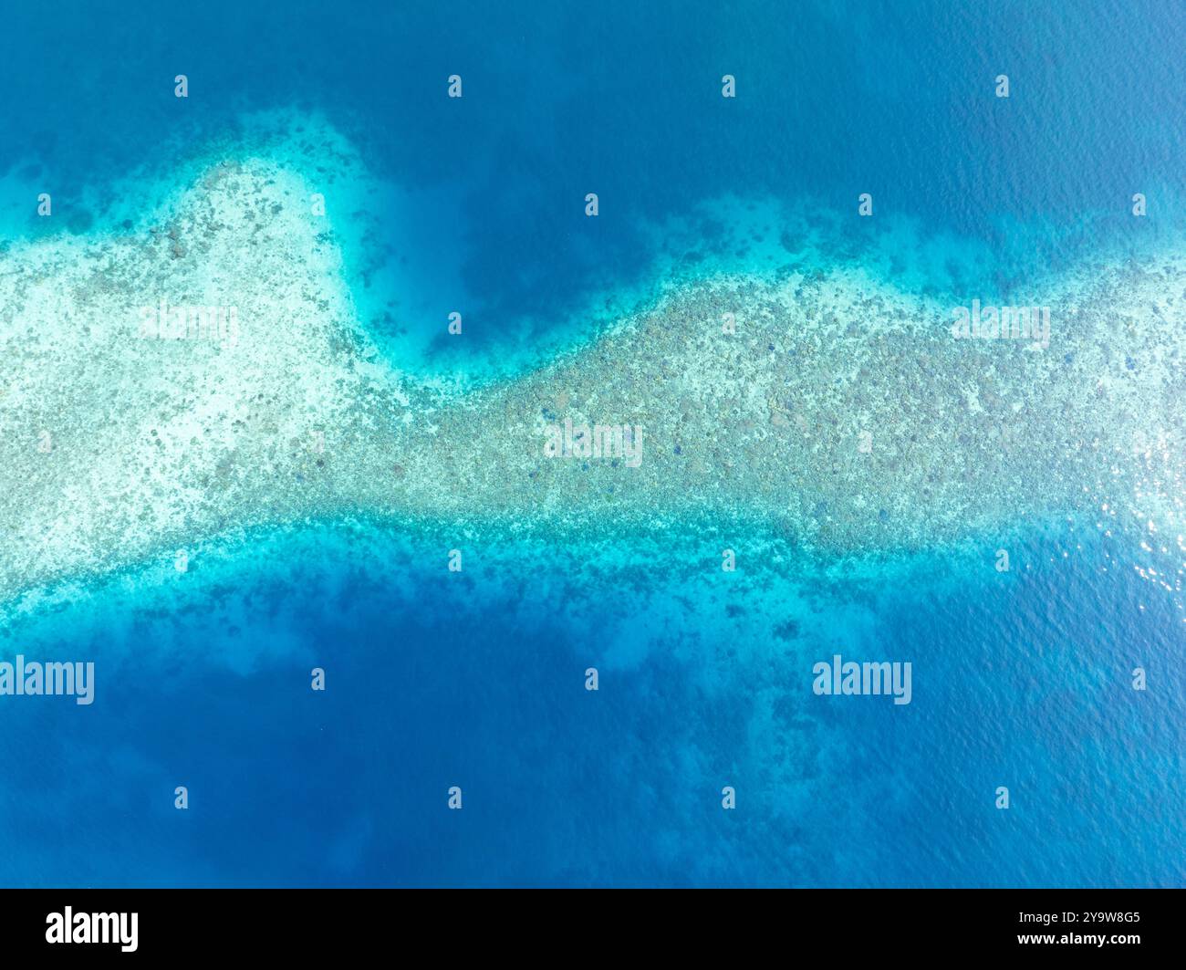 A beautiful and healthy coral reef surrounds a volcanic island off the ...