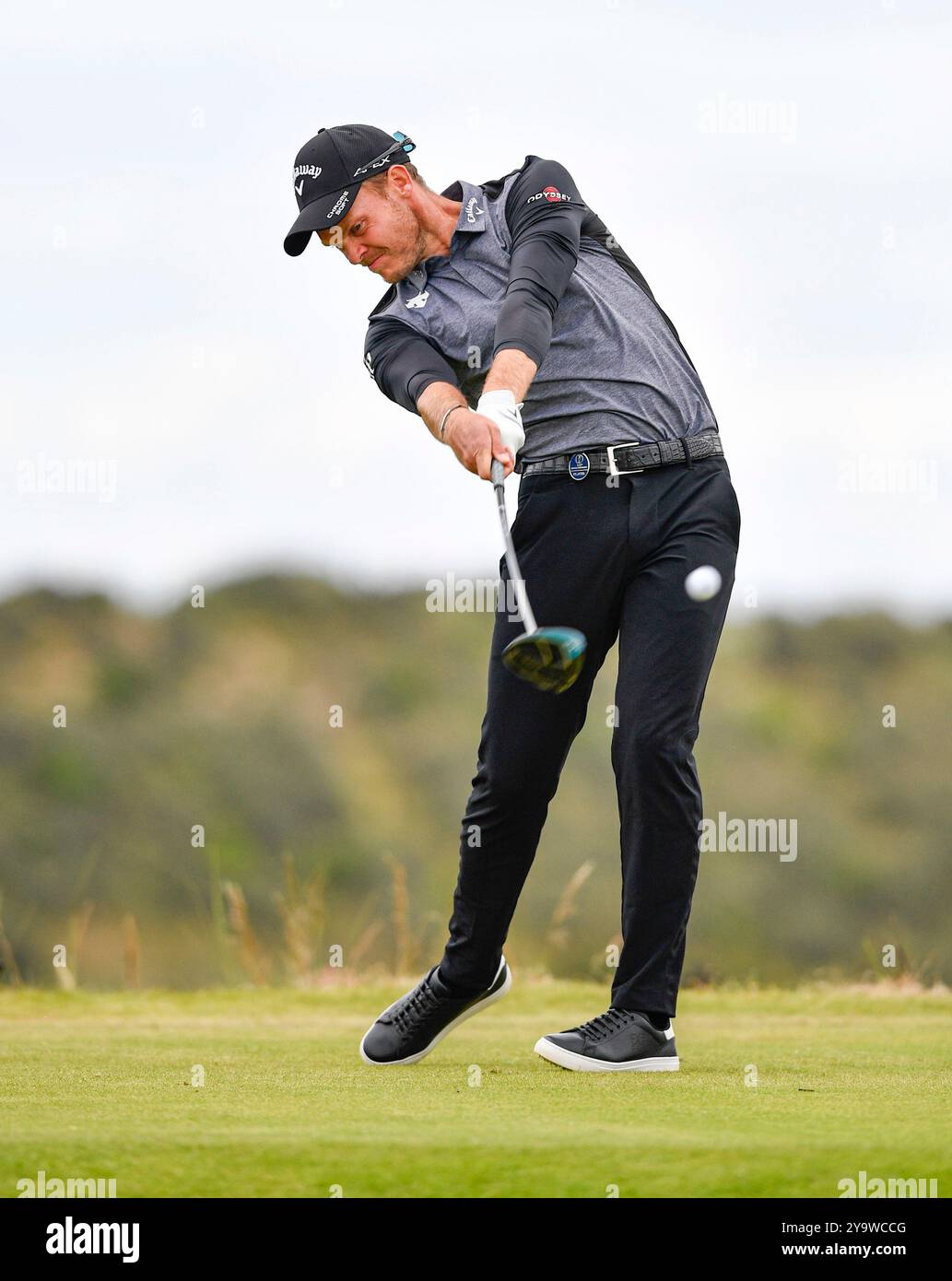 Willett hi-res stock photography and images - Alamy