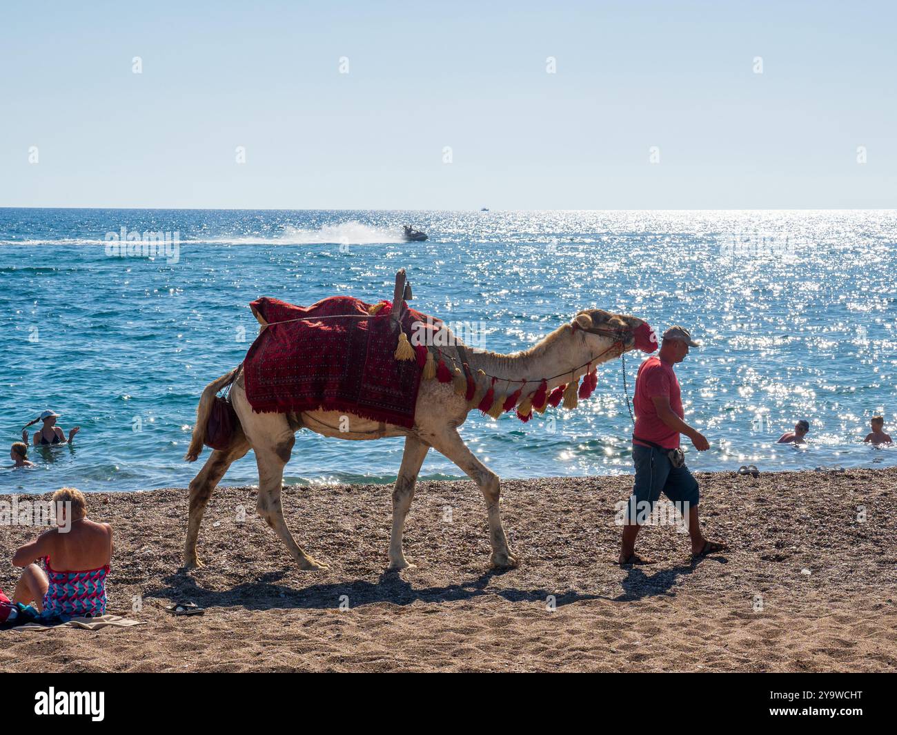 Camel Walking on Kleopatra Beach Stock Photo - Alamy