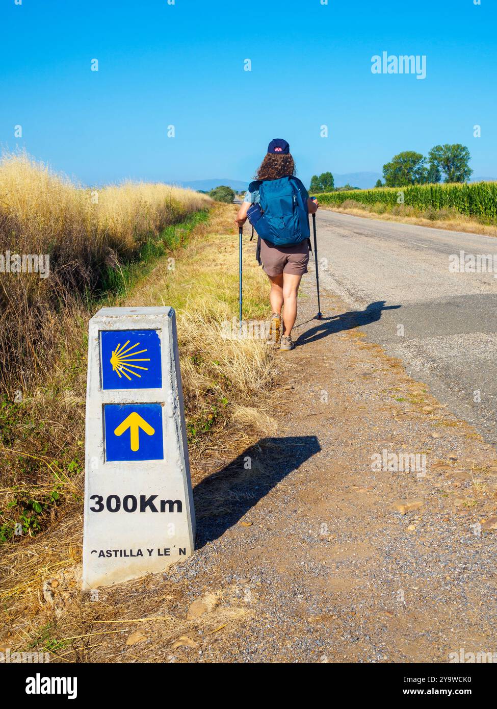 A pilgrim walking along a rural road on the Camino de Santiago, passing ...