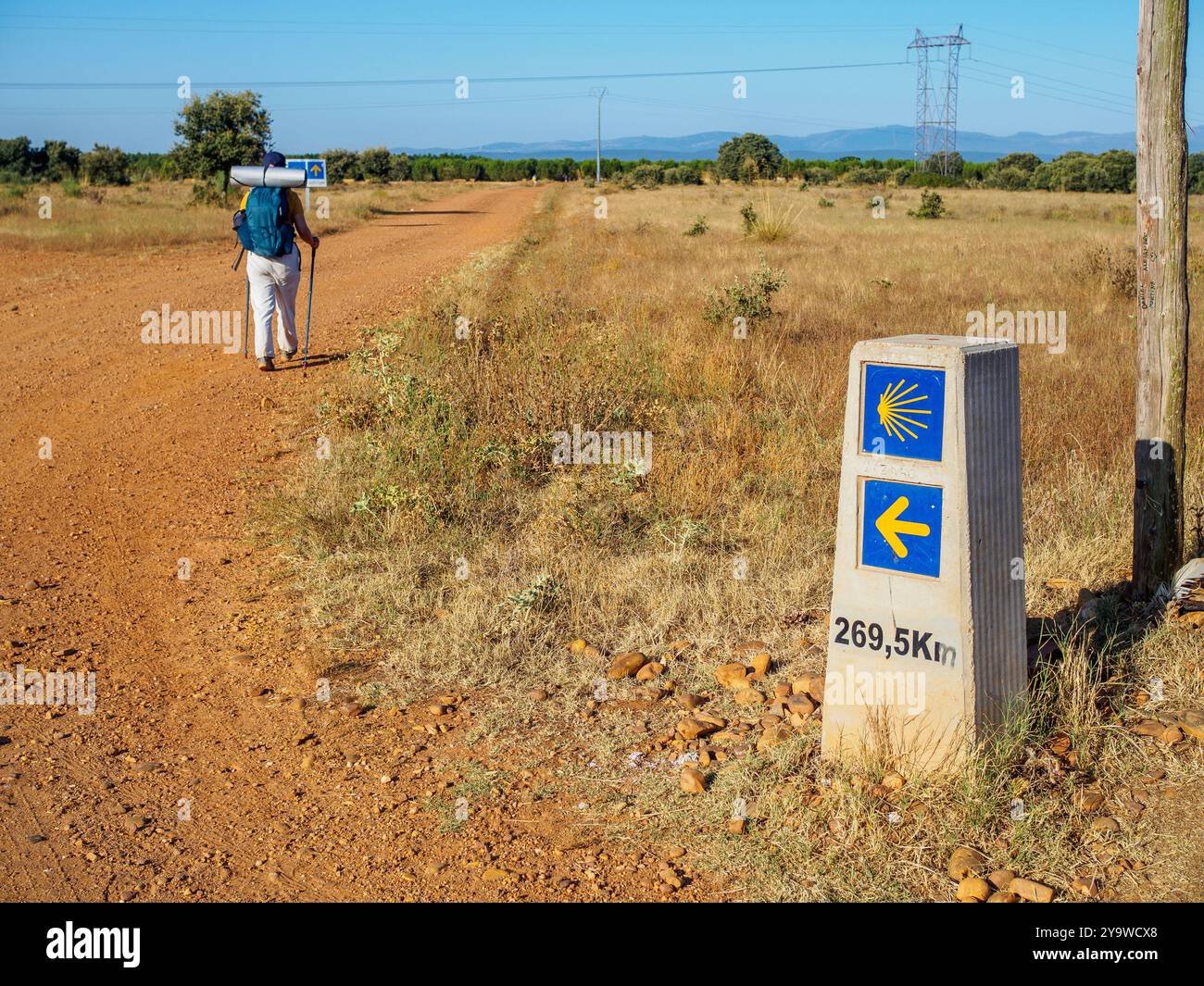 A pilgrim walking along a rural road on the Camino de Santiago, passing ...