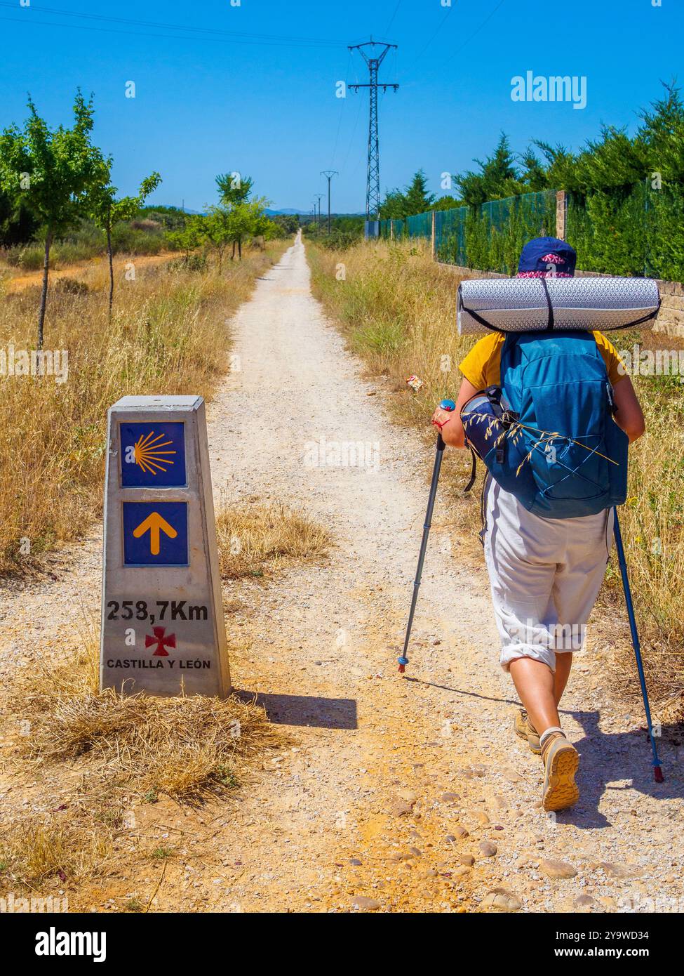 A pilgrim walking along a rural road on the Camino de Santiago, passing ...