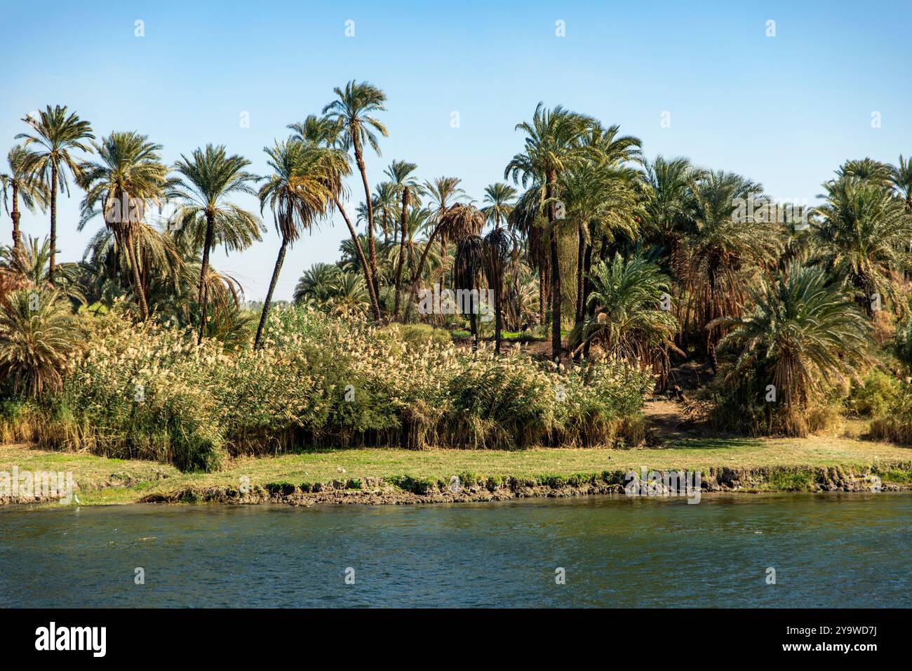 Enjoy the breathtaking beauty of the Nile Valley, with its lush green ...