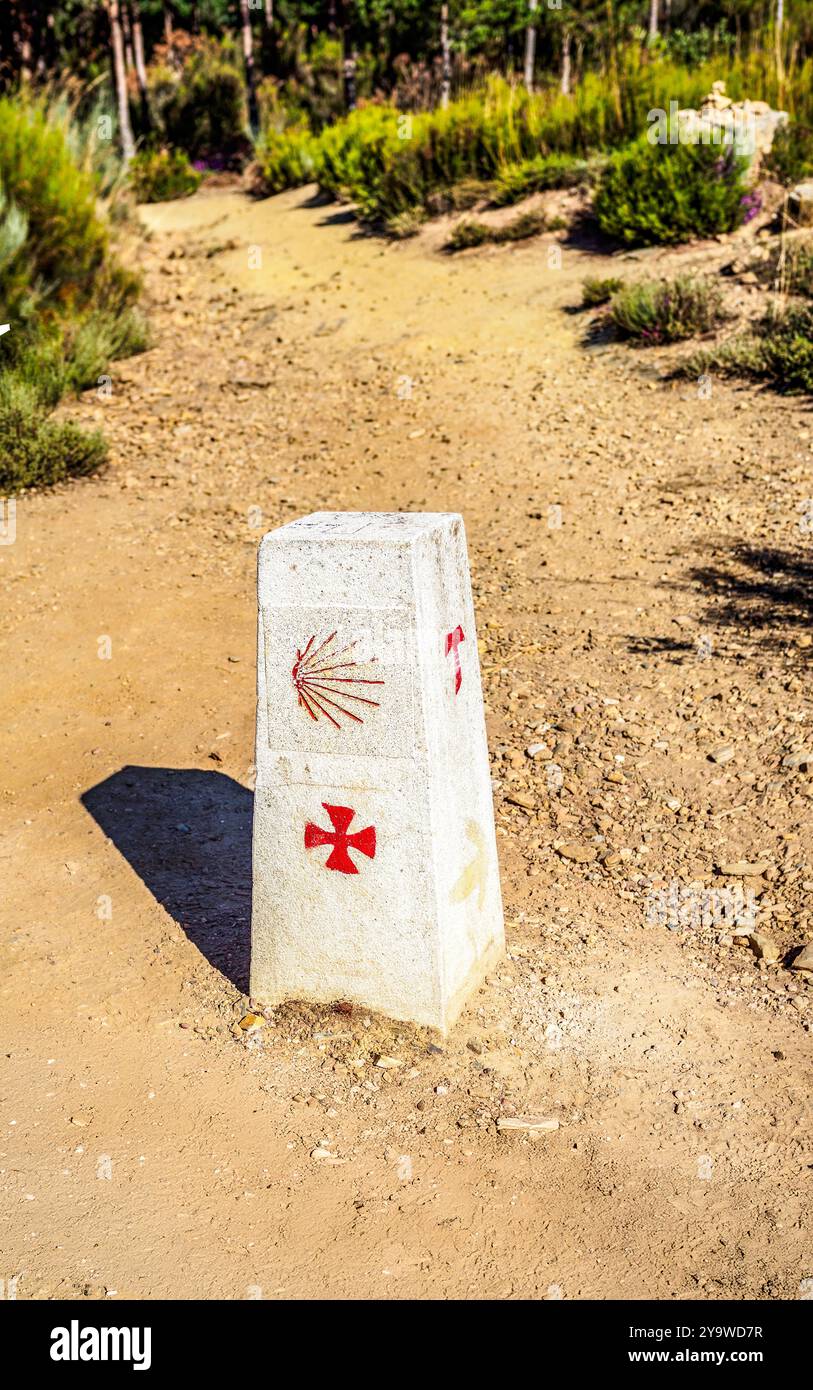 Iconic Scallop shell and Templar Cross, symbols of the Camino de ...