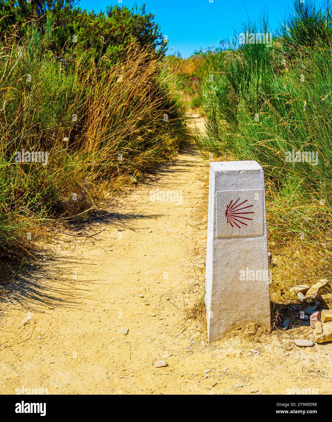 Iconic Scallop shell, symbol of the Camino de Santiago, on a weathered ...