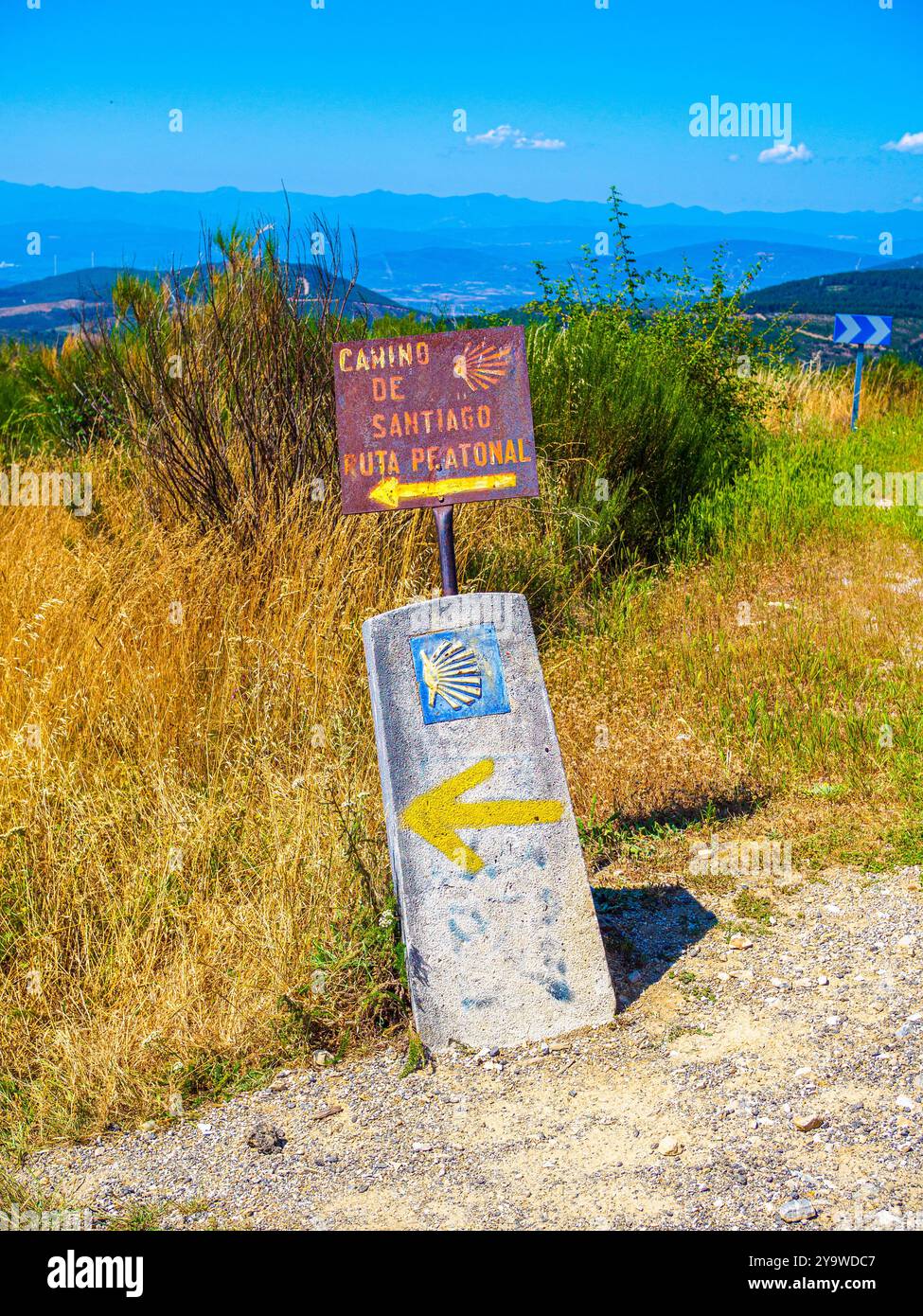 Yellow Scallop Shell and Yellow Arrow, symbols of the Camino de ...