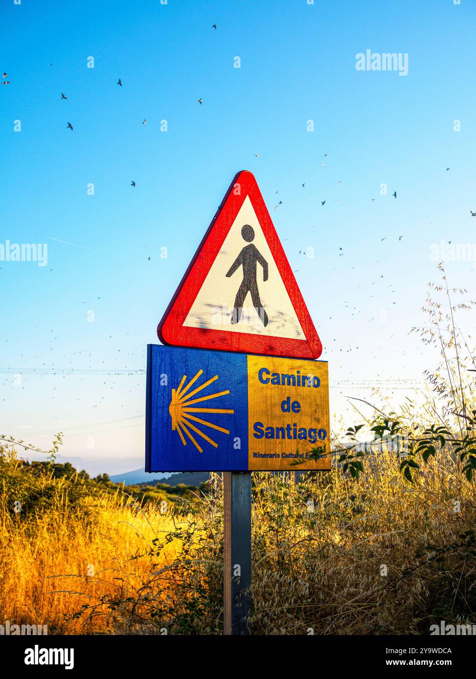 Iconic yellow scallop shell, symbols of the Camino de Santiago, on a ...