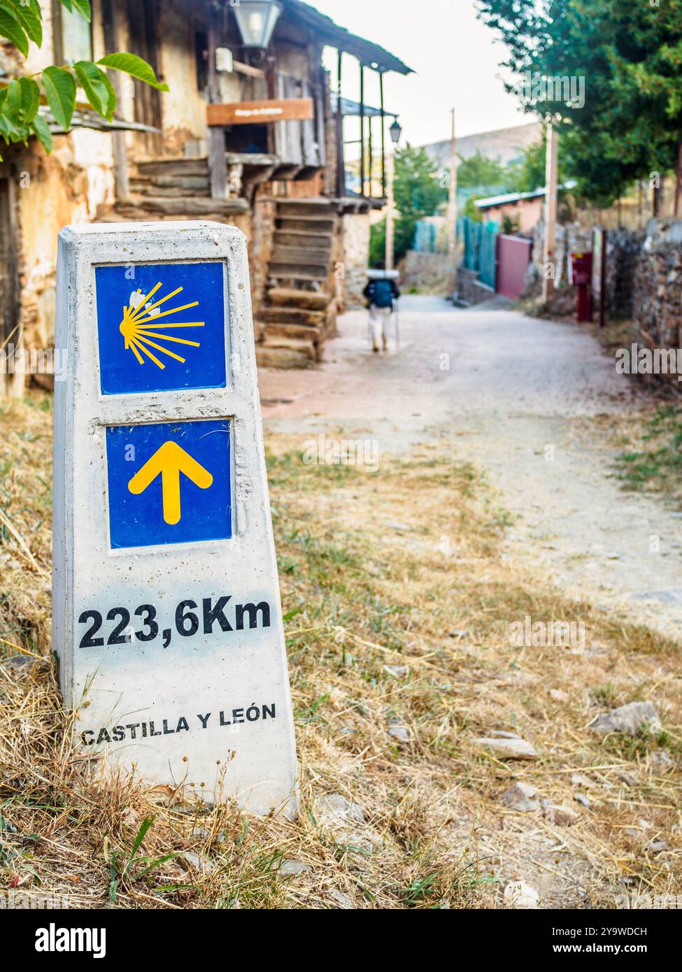 A pilgrim walking along a rural road on the Camino de Santiago, passing ...