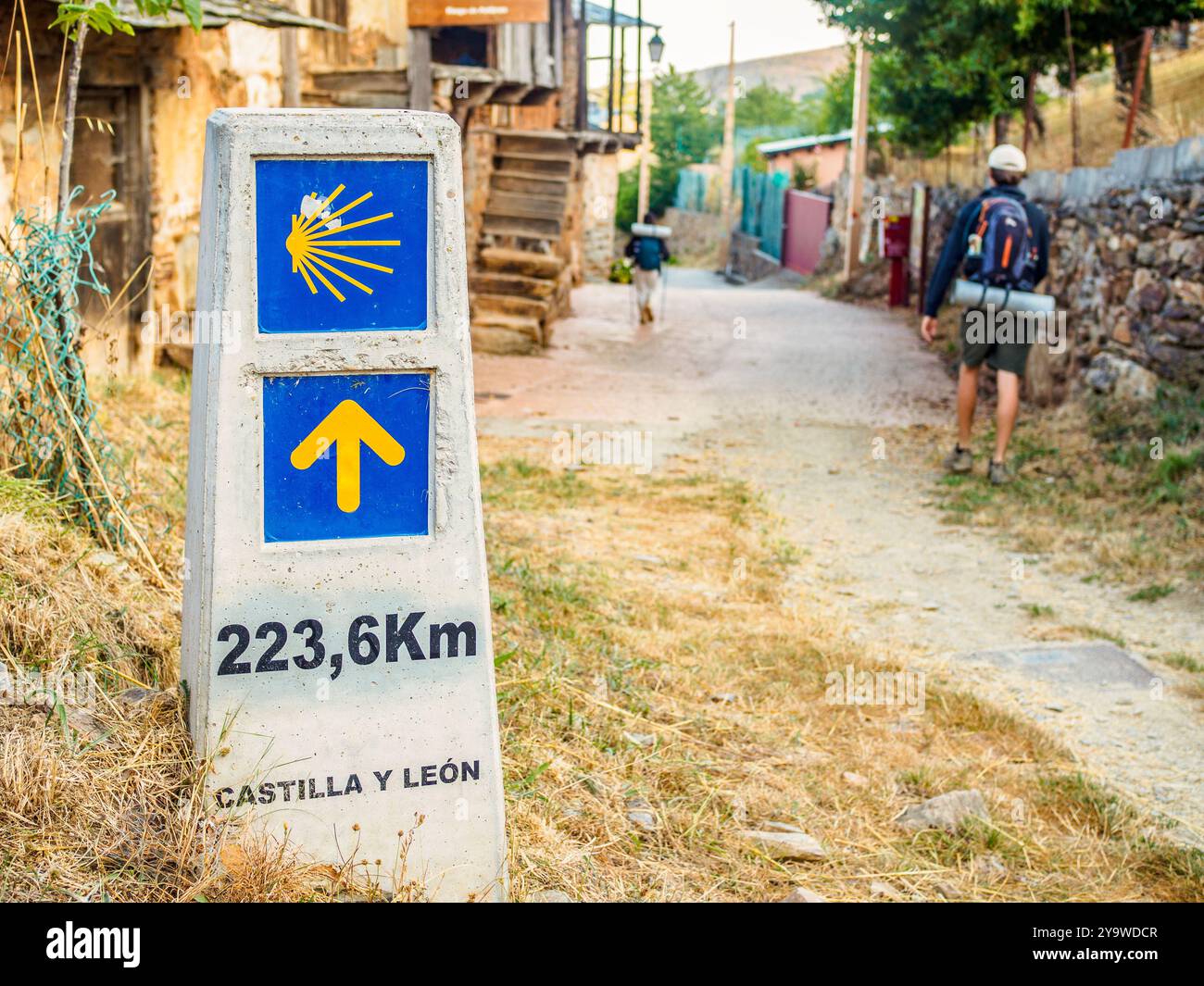 A pilgrim walking along a rural road on the Camino de Santiago, passing ...