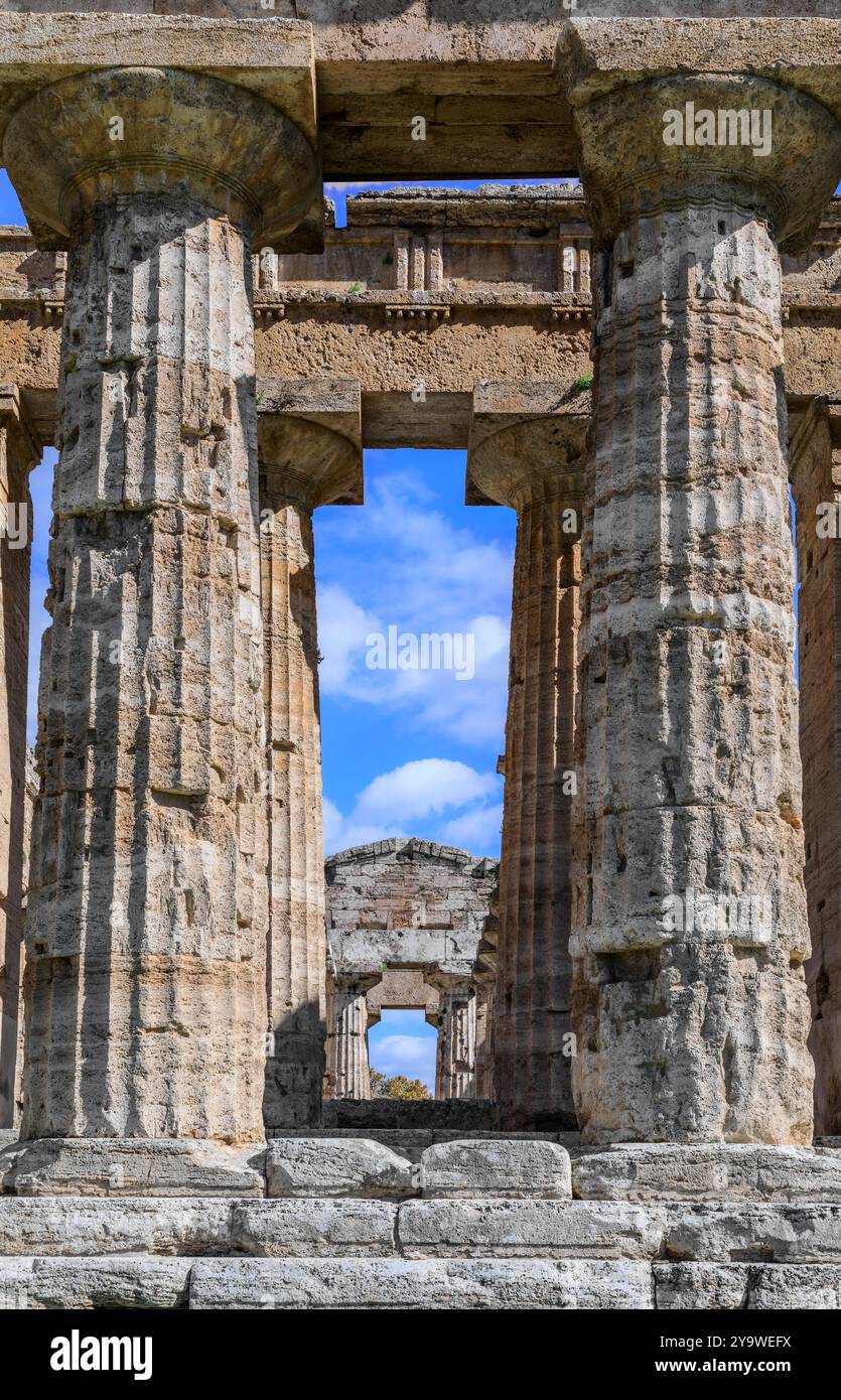 Temple of Neptune at Paestum in Italy: detail of the Doric columns Stock Photo - Alamy