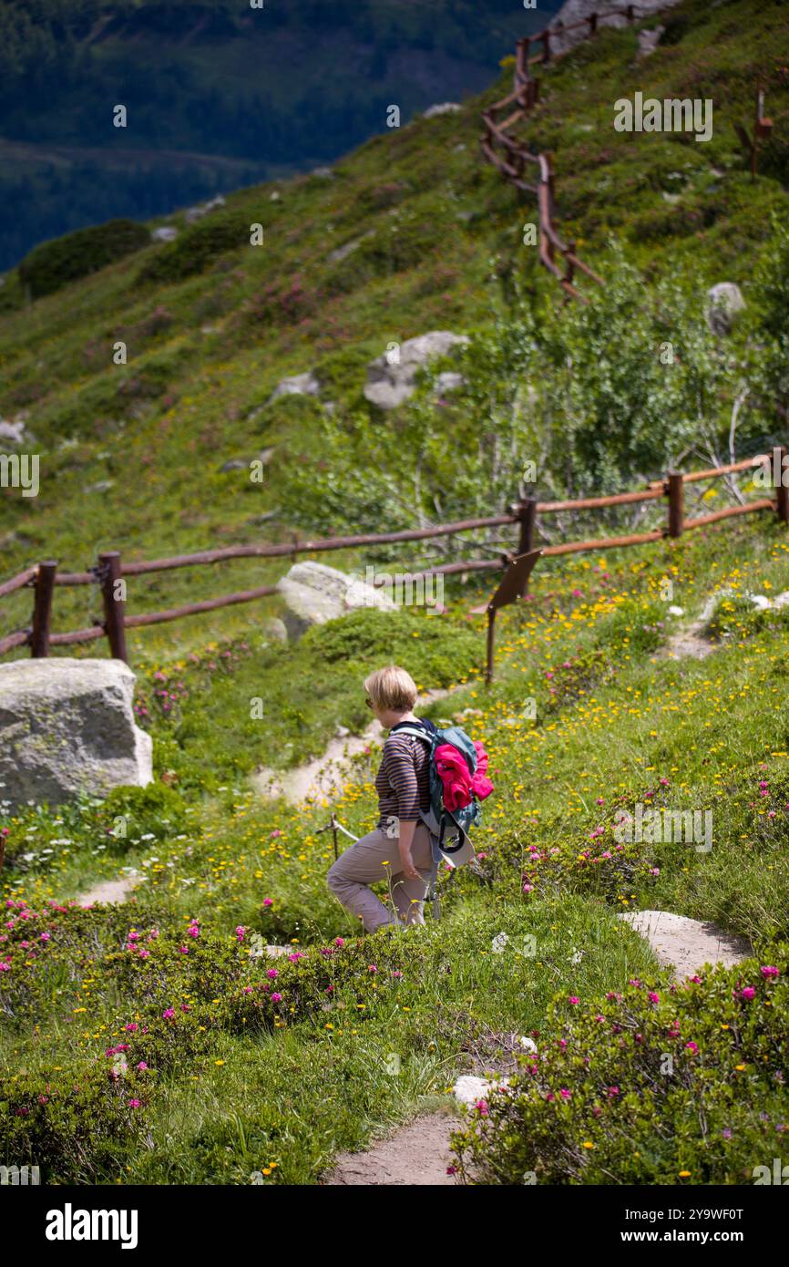 a female hiker with a backpack walks through a meadow with colorful ...