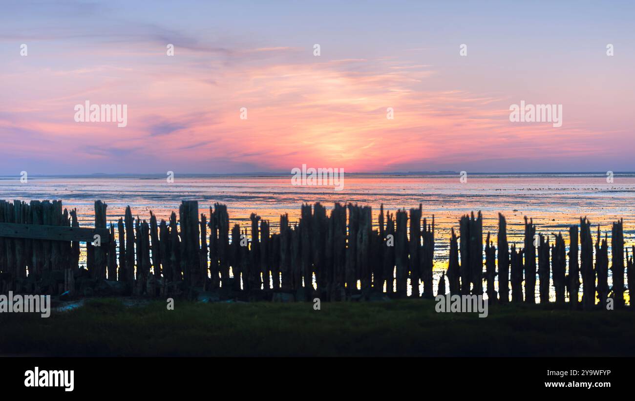 Sundown landscape at beautiful mudplanes of the Wadden sea UNESCO ...