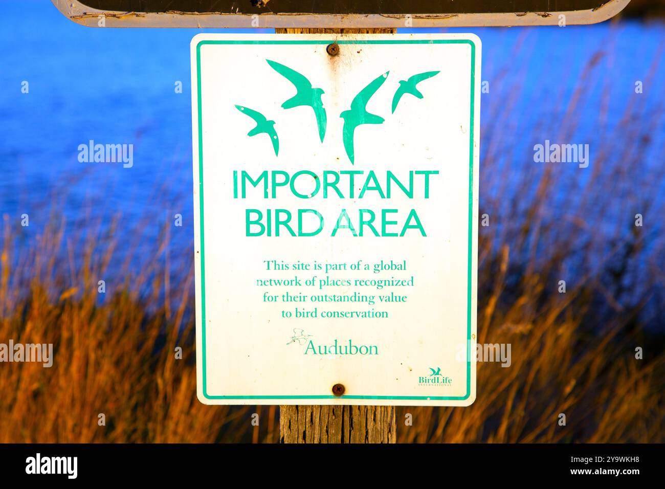 National audubon important bird area hi-res stock photography and ...