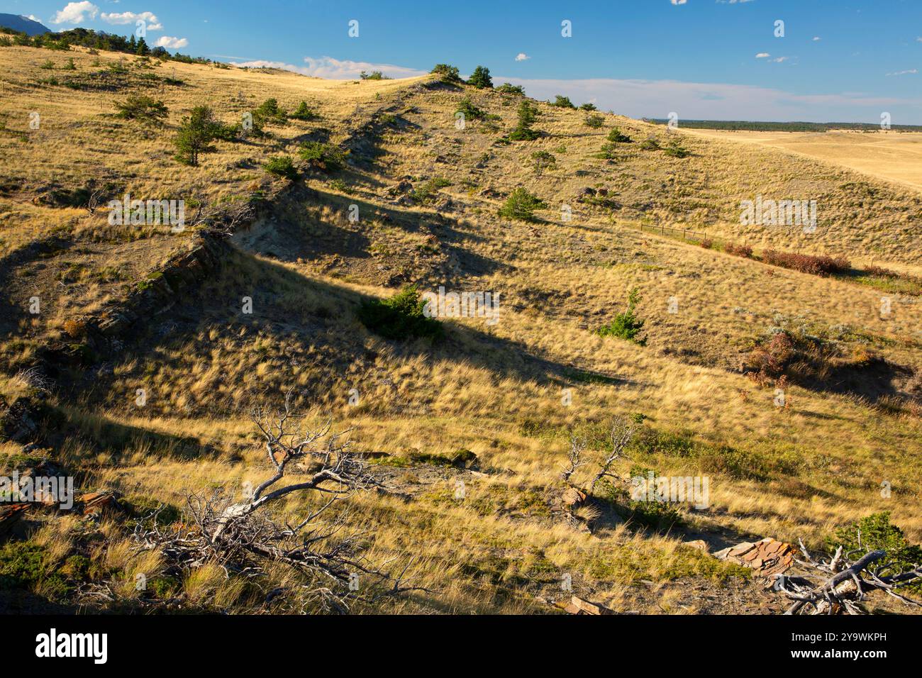 Prairie along AB Guthrie Trail, Pine Butte Swamp Preserve, Montana ...