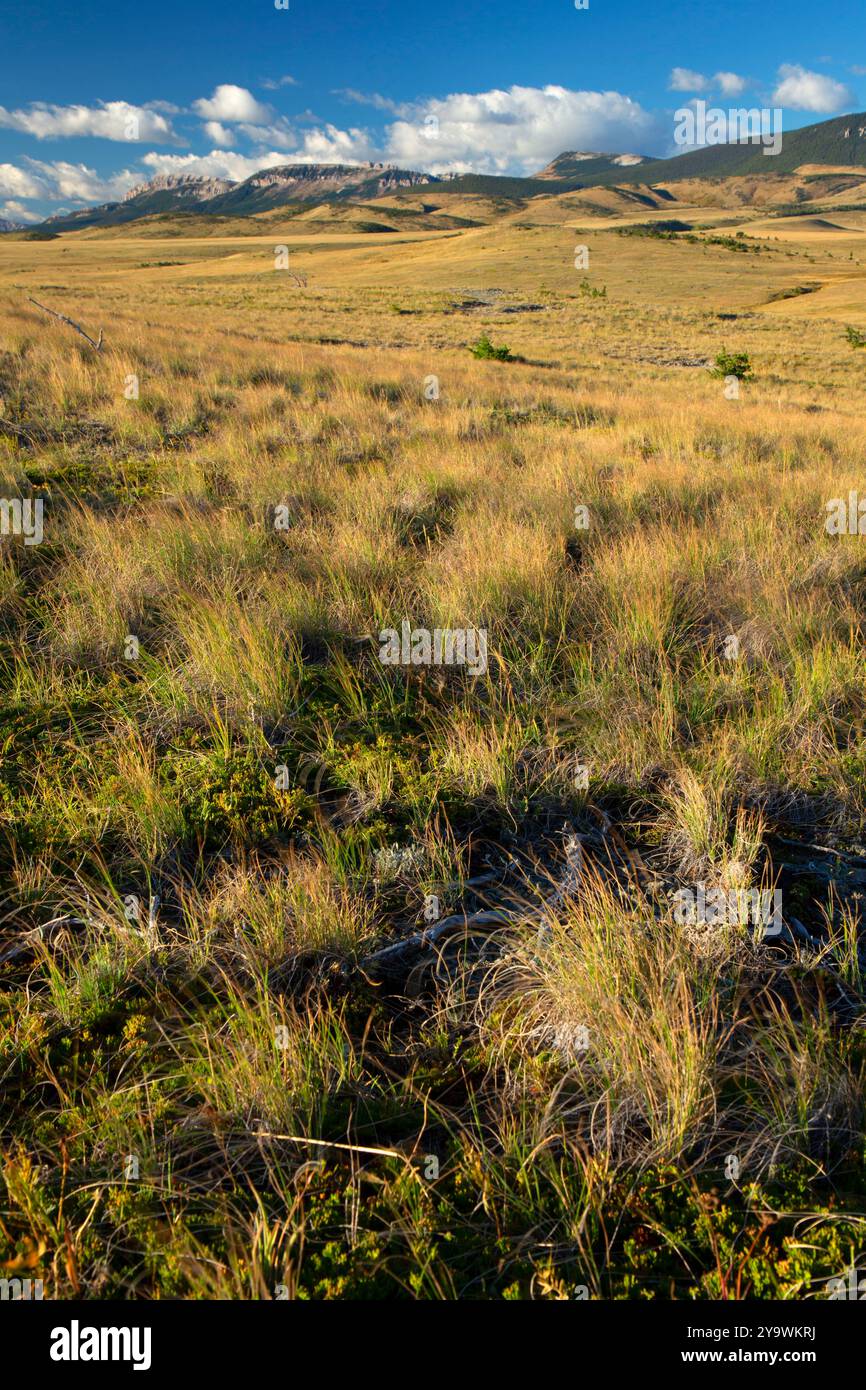 Rocky Mountain Front view from AB Guthrie Trail, Pine Butte Swamp ...