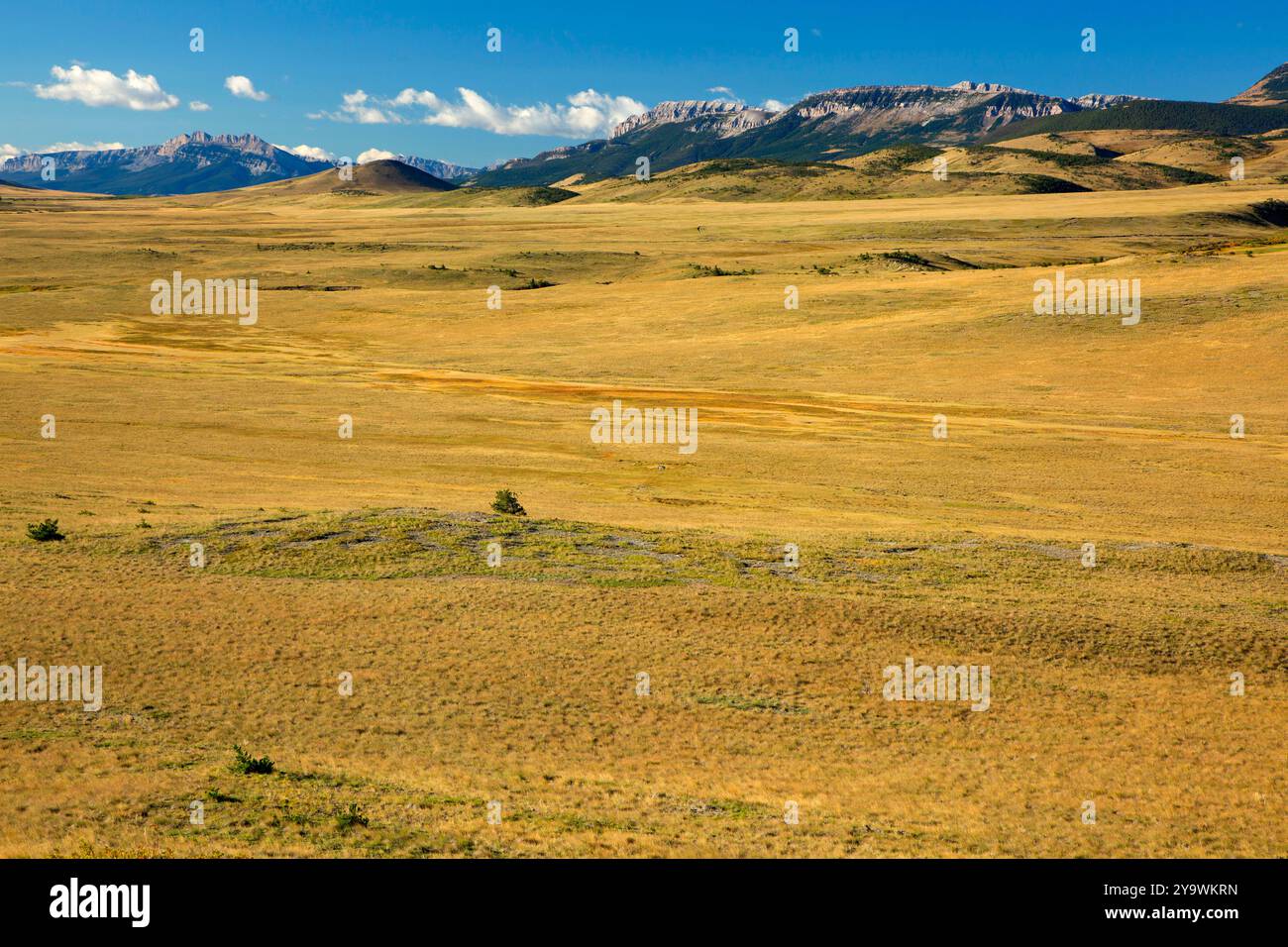 Rocky Mountain Front view from AB Guthrie Trail, Pine Butte Swamp ...