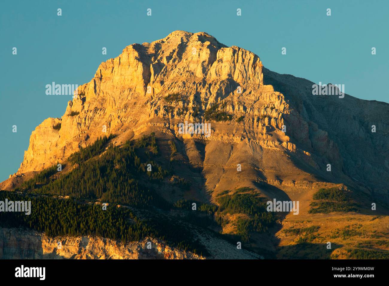Mount Frazier, Theodore Roosevelt Memorial Ranch, Montana Stock Photo ...