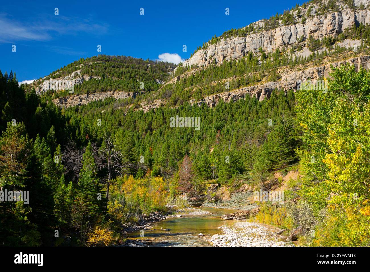 Dearborn River from Dearborn River Trail, Lewis and Clark National ...