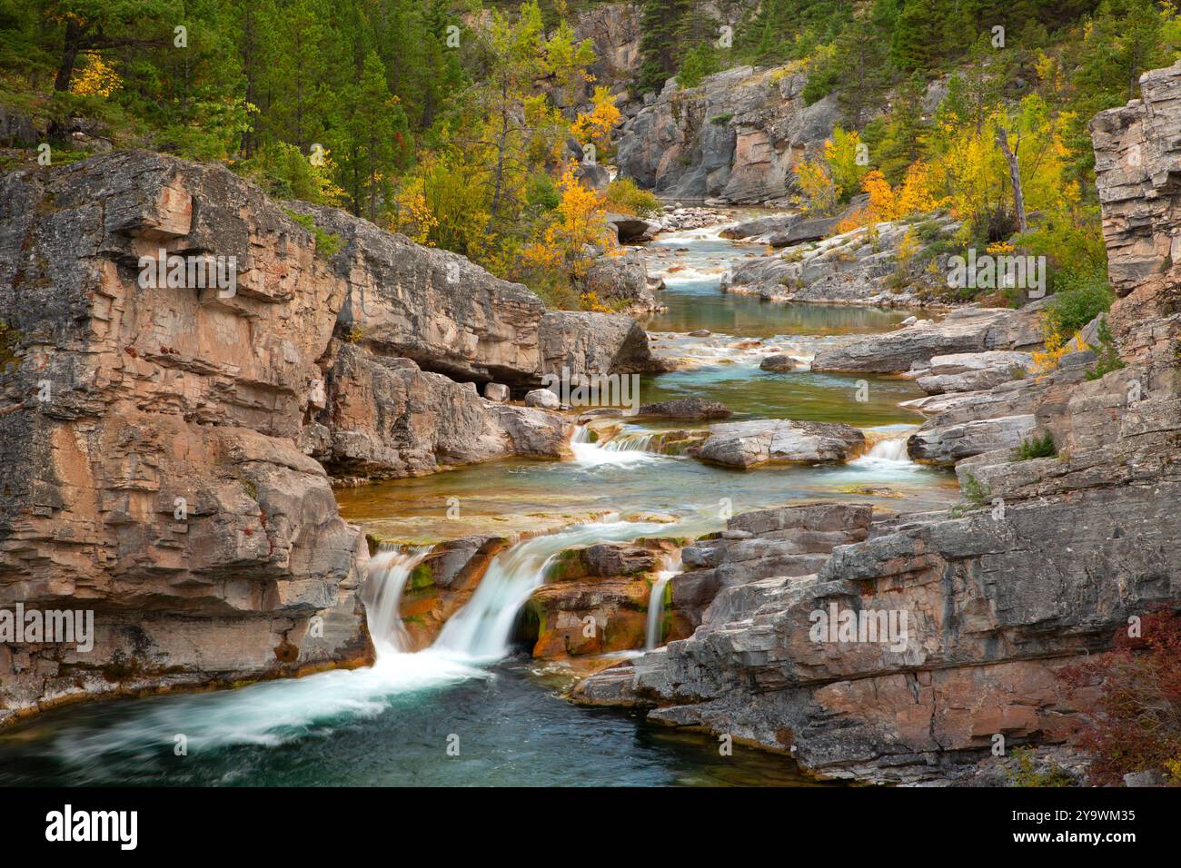 Dearborn River at Devil's Glen from Dearborn River Trail, Scapegoat ...