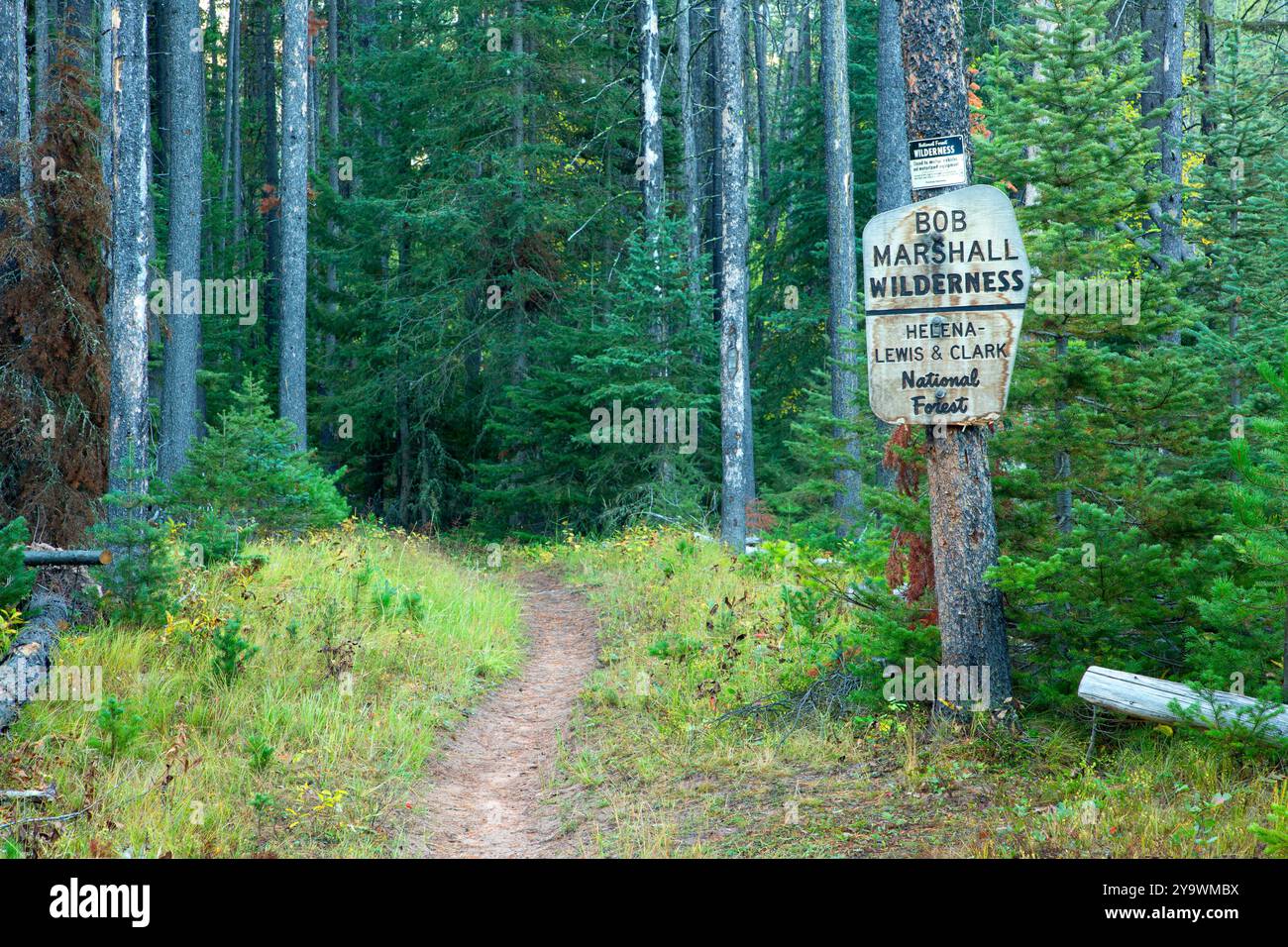 Wilderness boundary sign along Straight Creek Trail, Bob Marshall ...