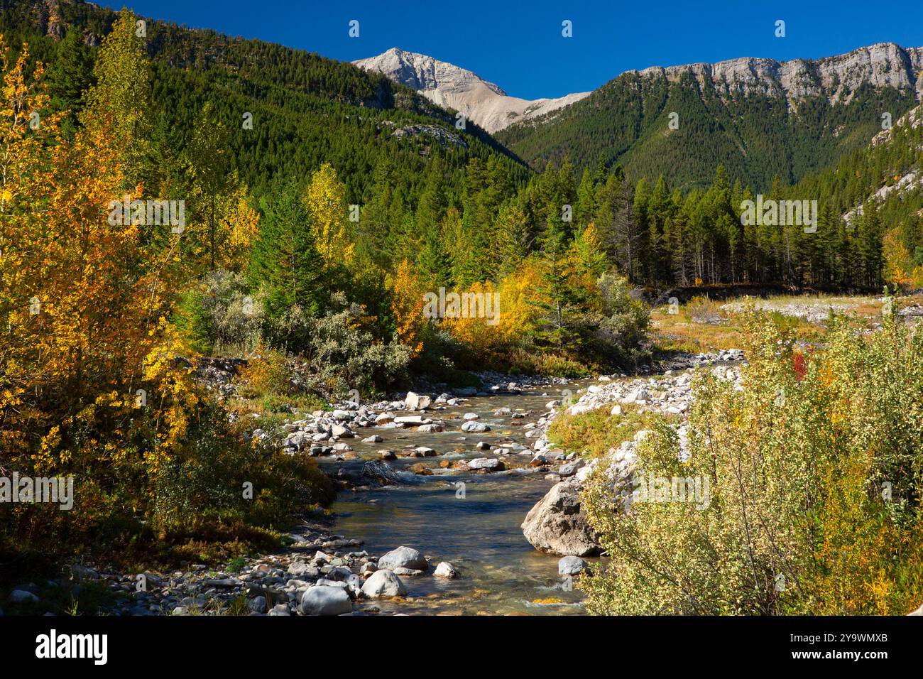 South Fork Teton River canyon, Lewis and Clark National Forest, Montana ...