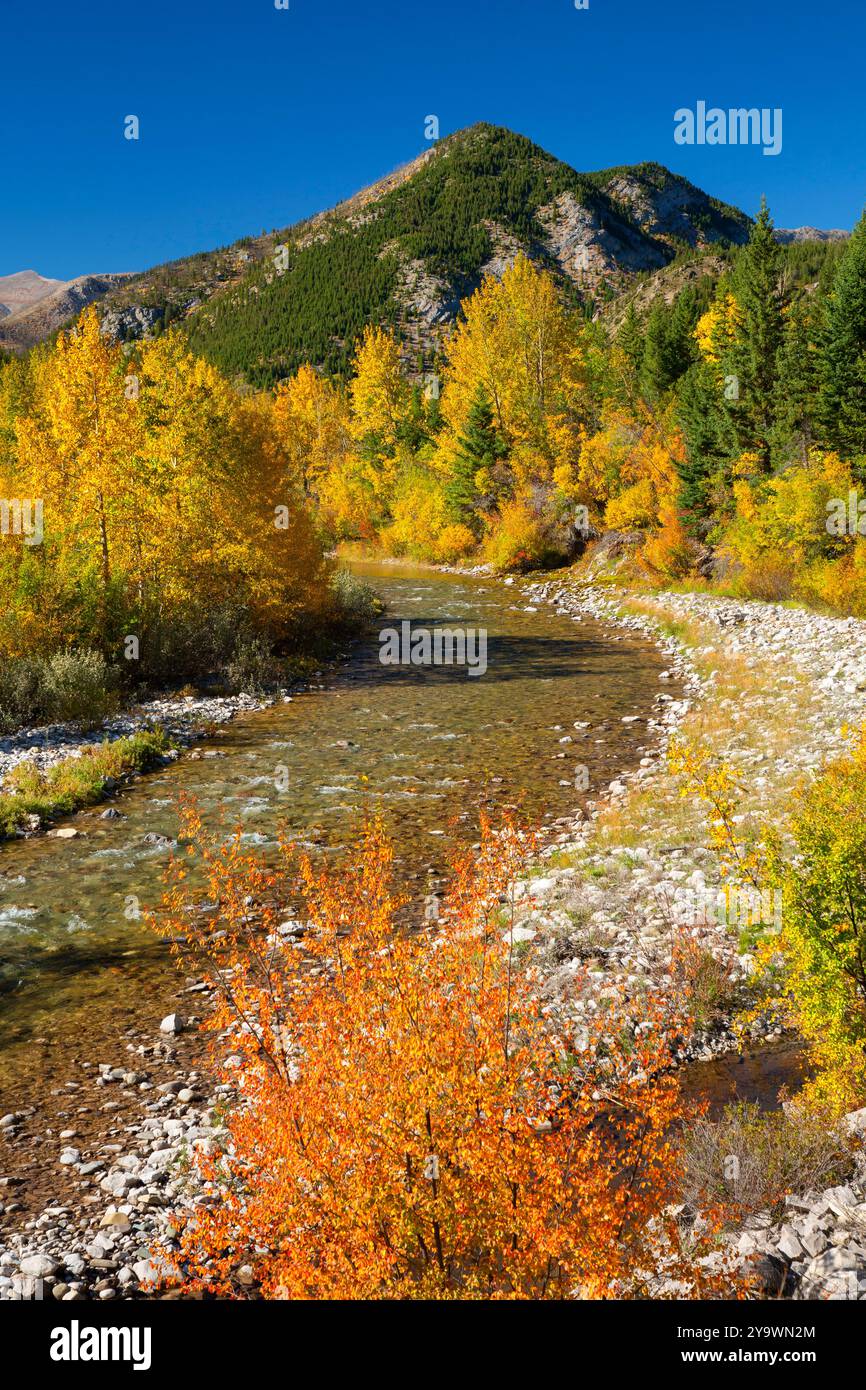 North Fork Teton River in autumn, Lewis and Clark National Forest ...