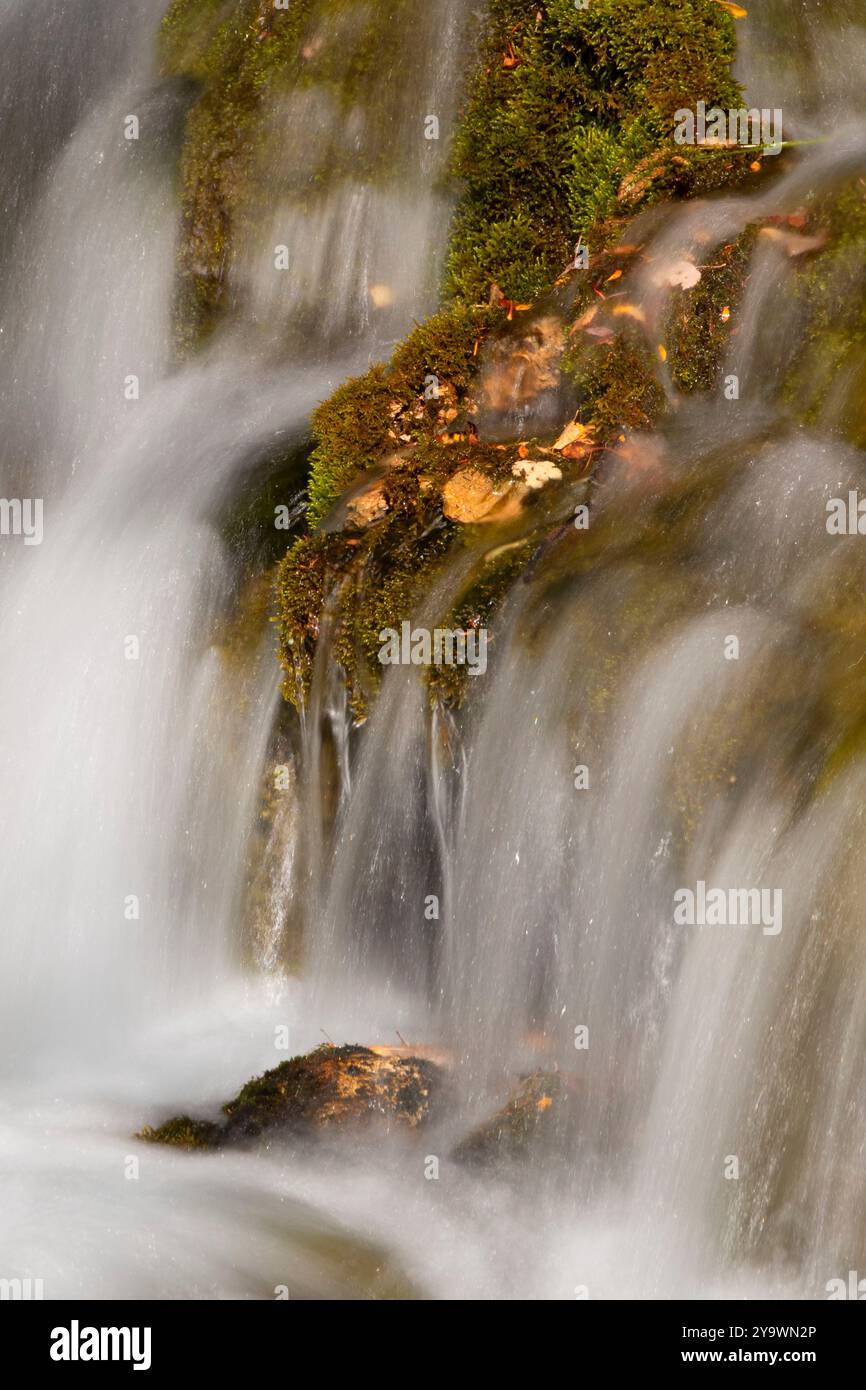 Creek cascade along North Fork Teton River, Lewis and Clark National ...