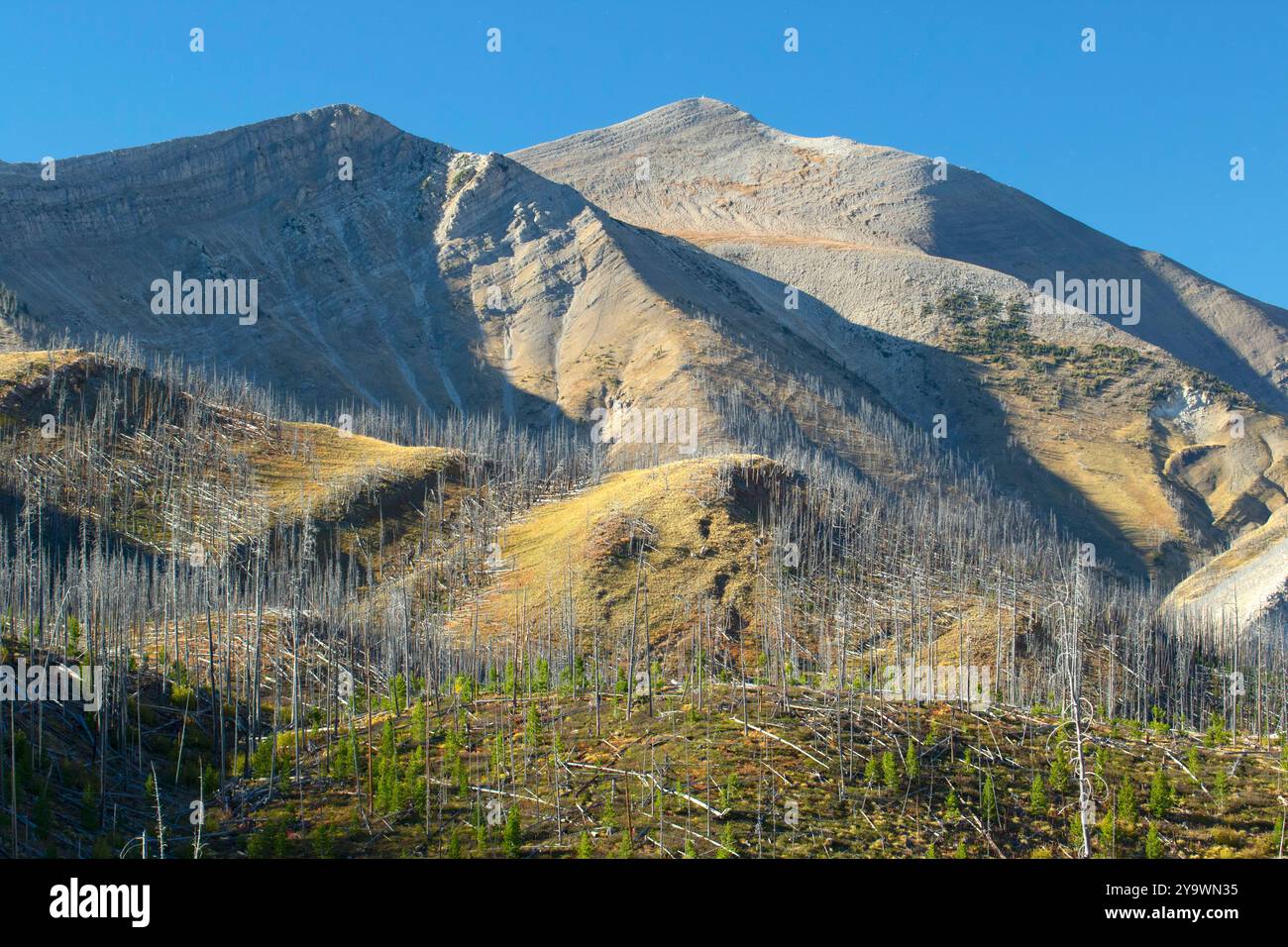 Sawtooth Range ridges along North Fork Teton River, Lewis and Clark ...