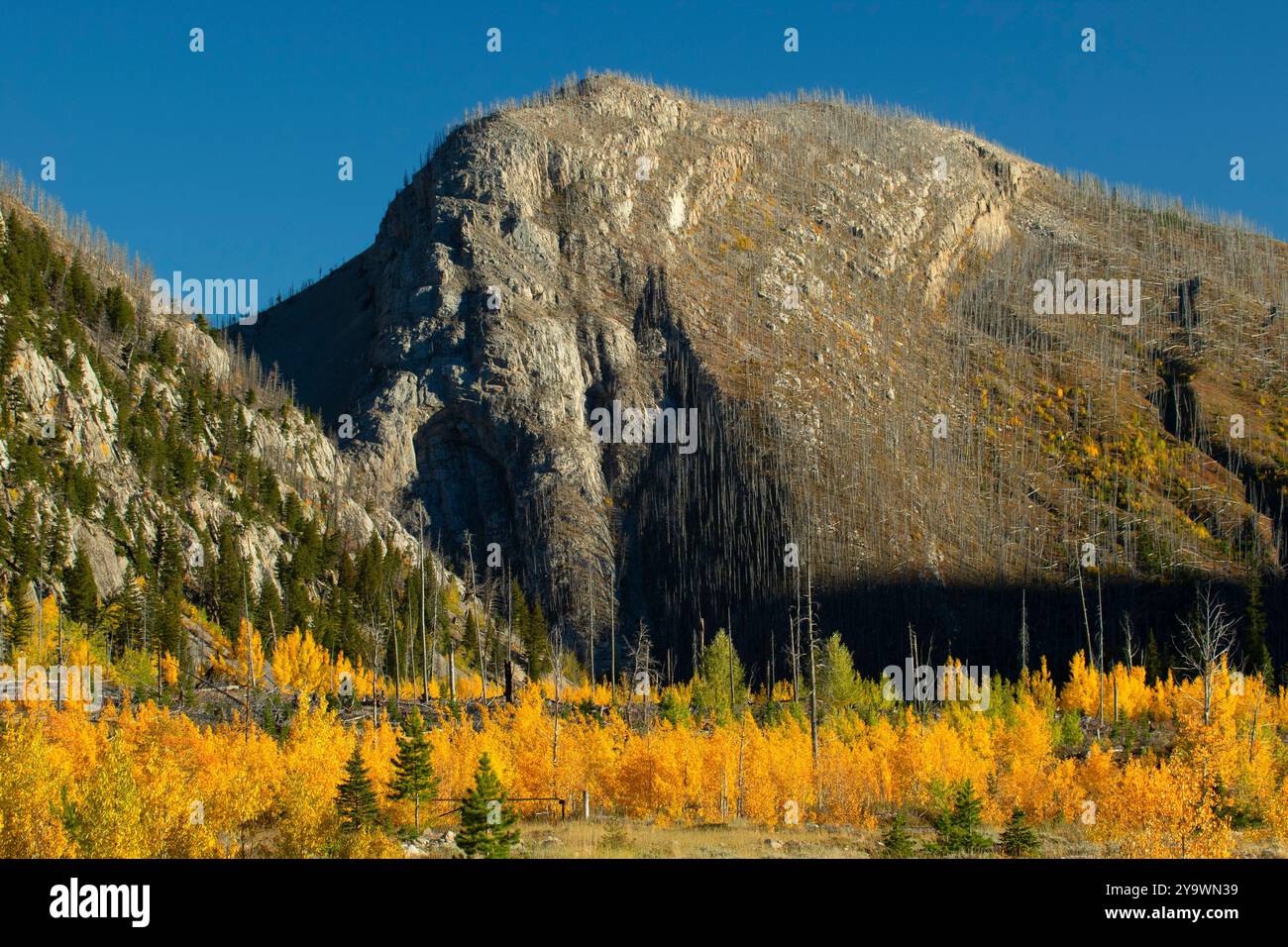 Sawtooth Range ridges along North Fork Teton River, Lewis and Clark ...