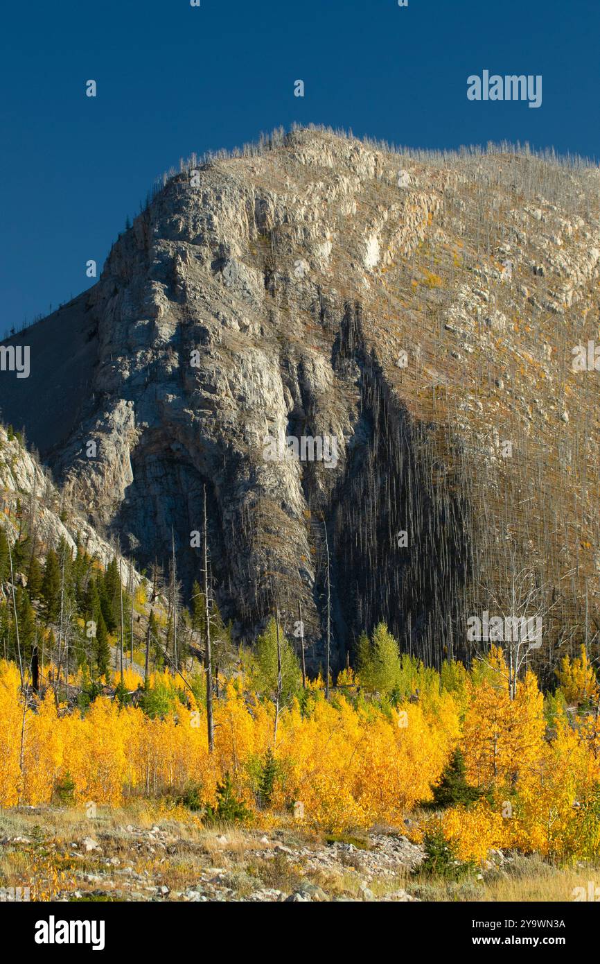 Sawtooth Range ridges along North Fork Teton River, Lewis and Clark ...