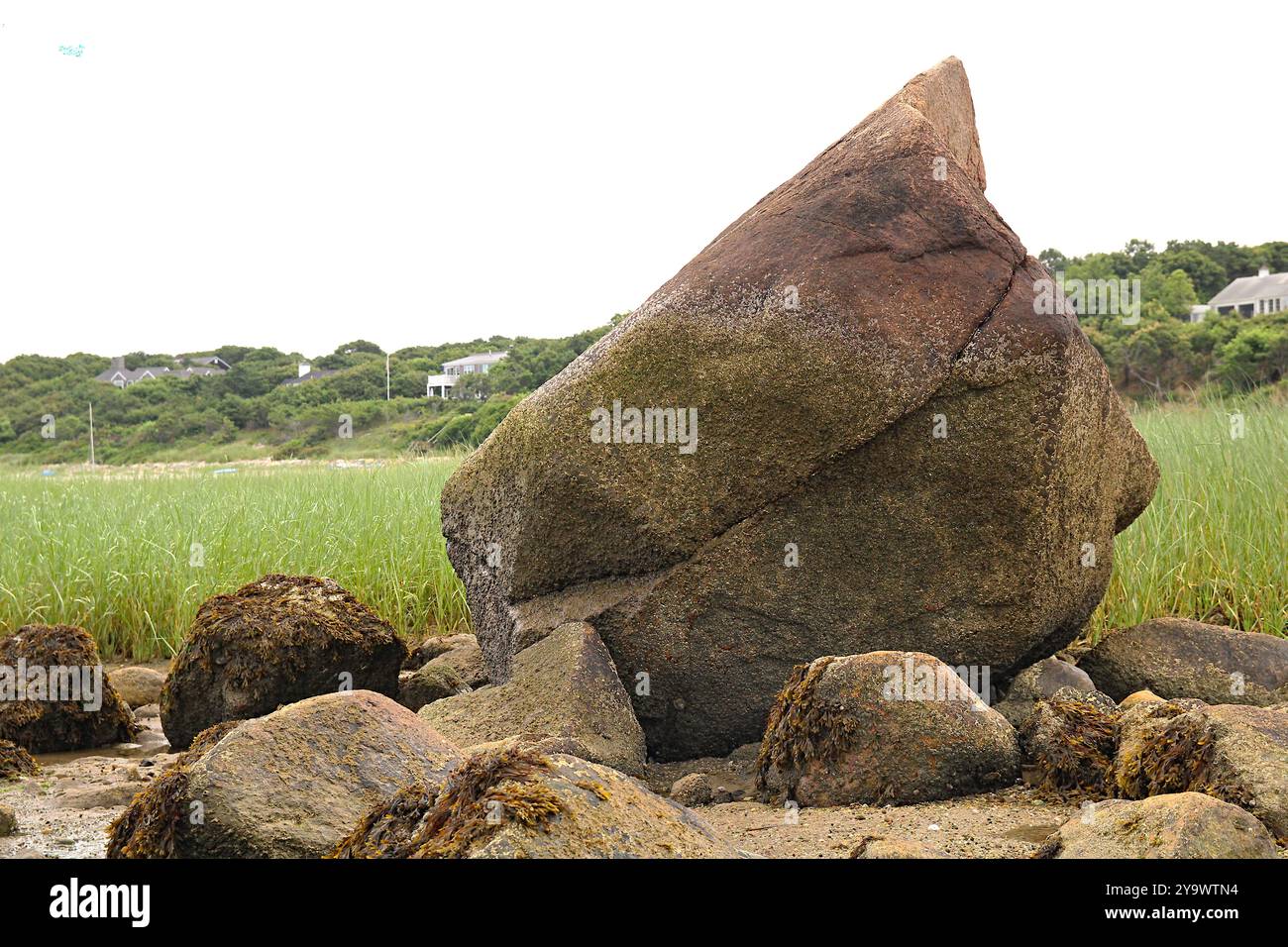 Unique dorsal fin hi-res stock photography and images - Alamy