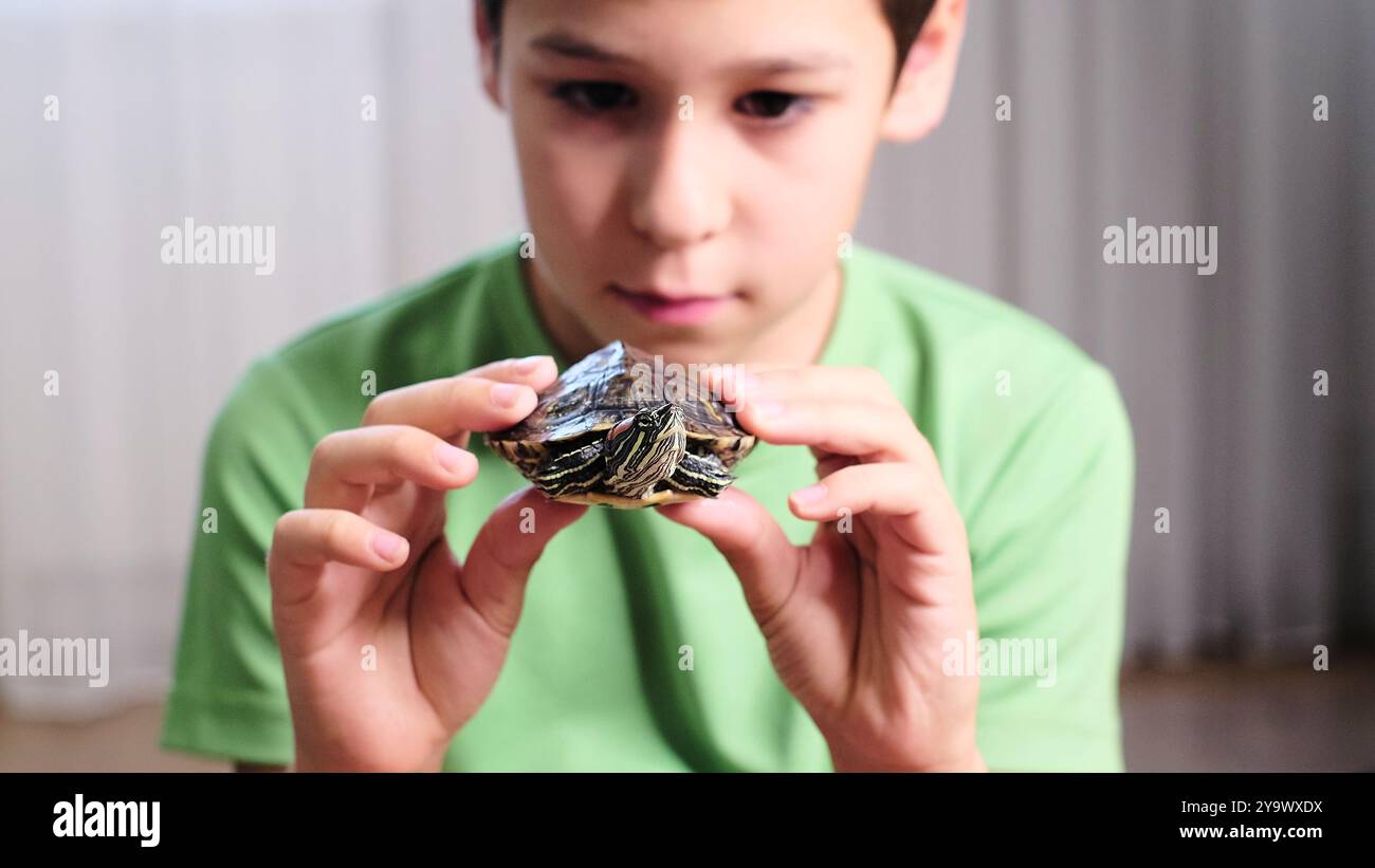 The boy s gentle grip on the turtle shows his interest in the small ...