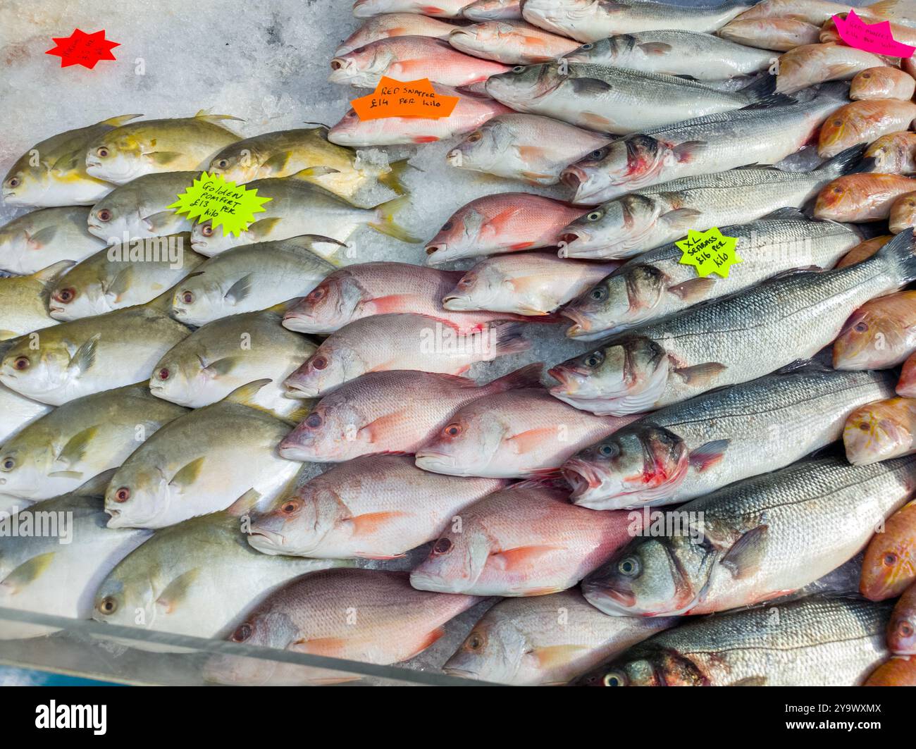 Fresh fish and seafood for sale in St George's Market, Belfast Northern ...