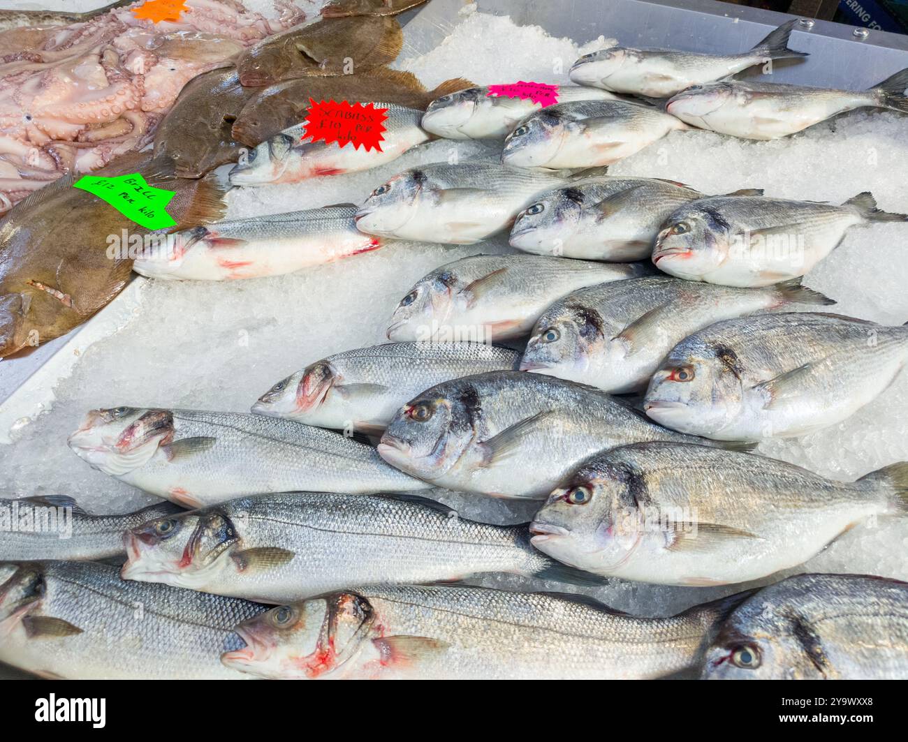 Fresh fish and seafood for sale in St George's Market, Belfast Northern ...