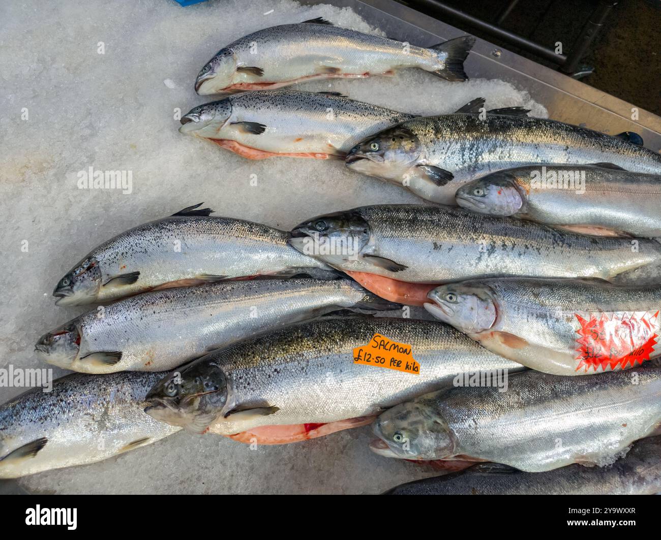 Fresh fish and seafood for sale in St George's Market, Belfast Northern ...