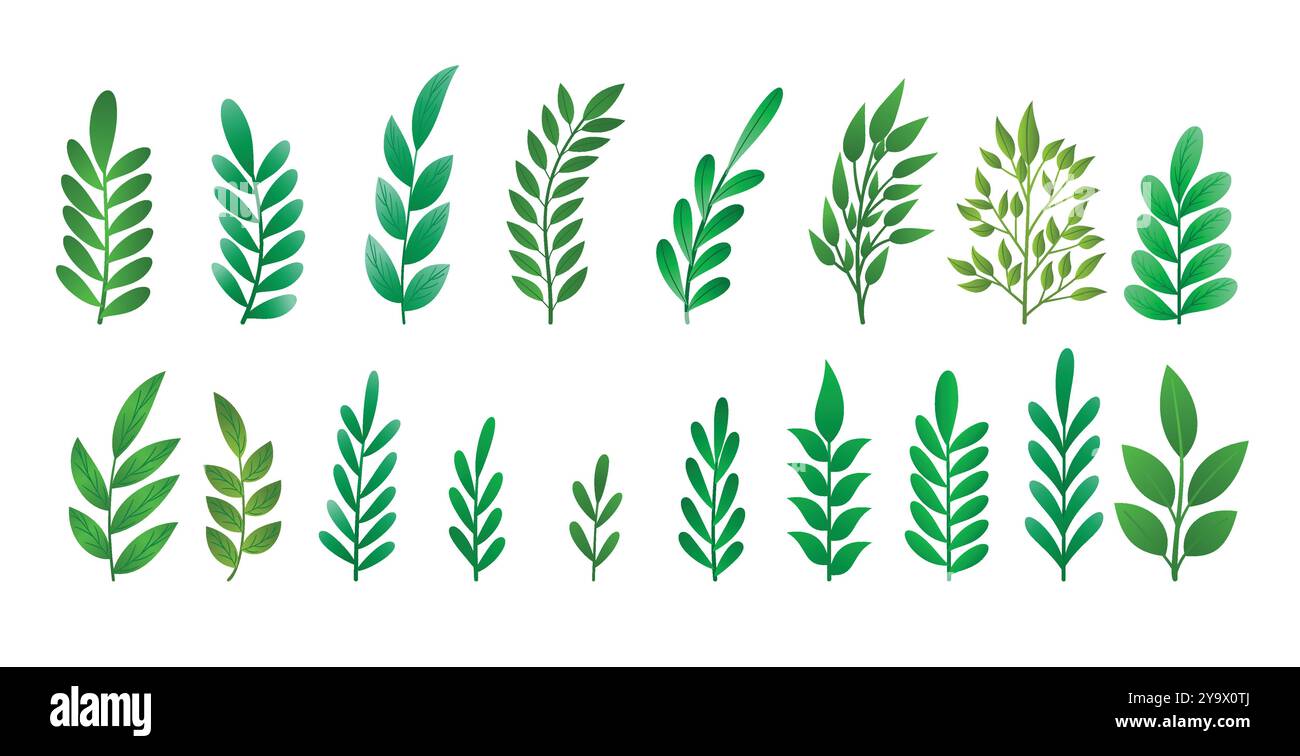 Realistic leaves Stock Vector Images - Alamy